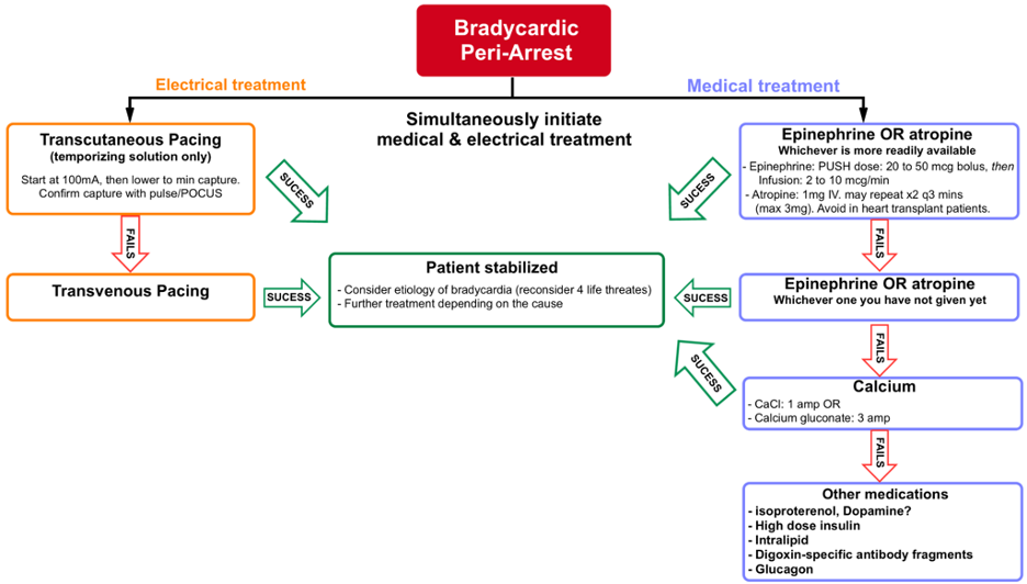 Why so BRASH? Prompt Recognition of an Uncommon Syndrome — BROWN ...