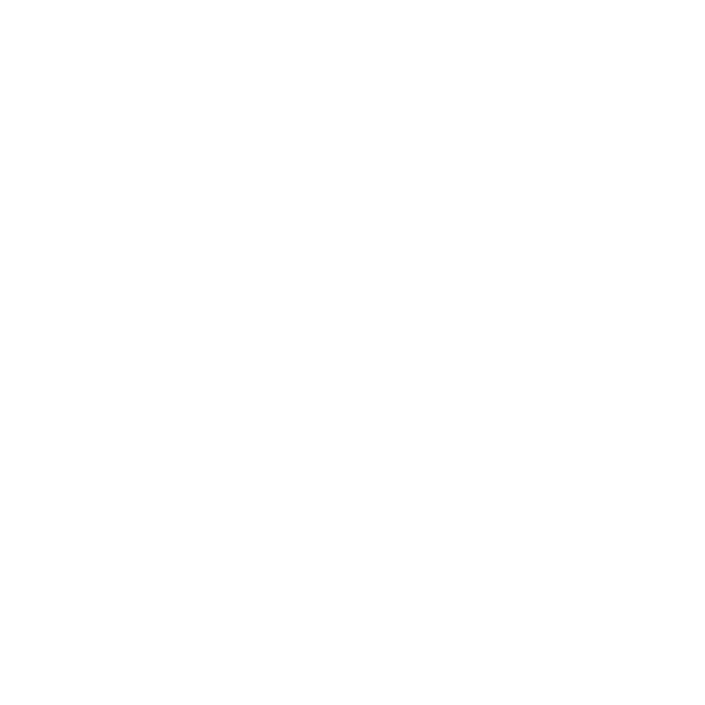 The Paper Fox