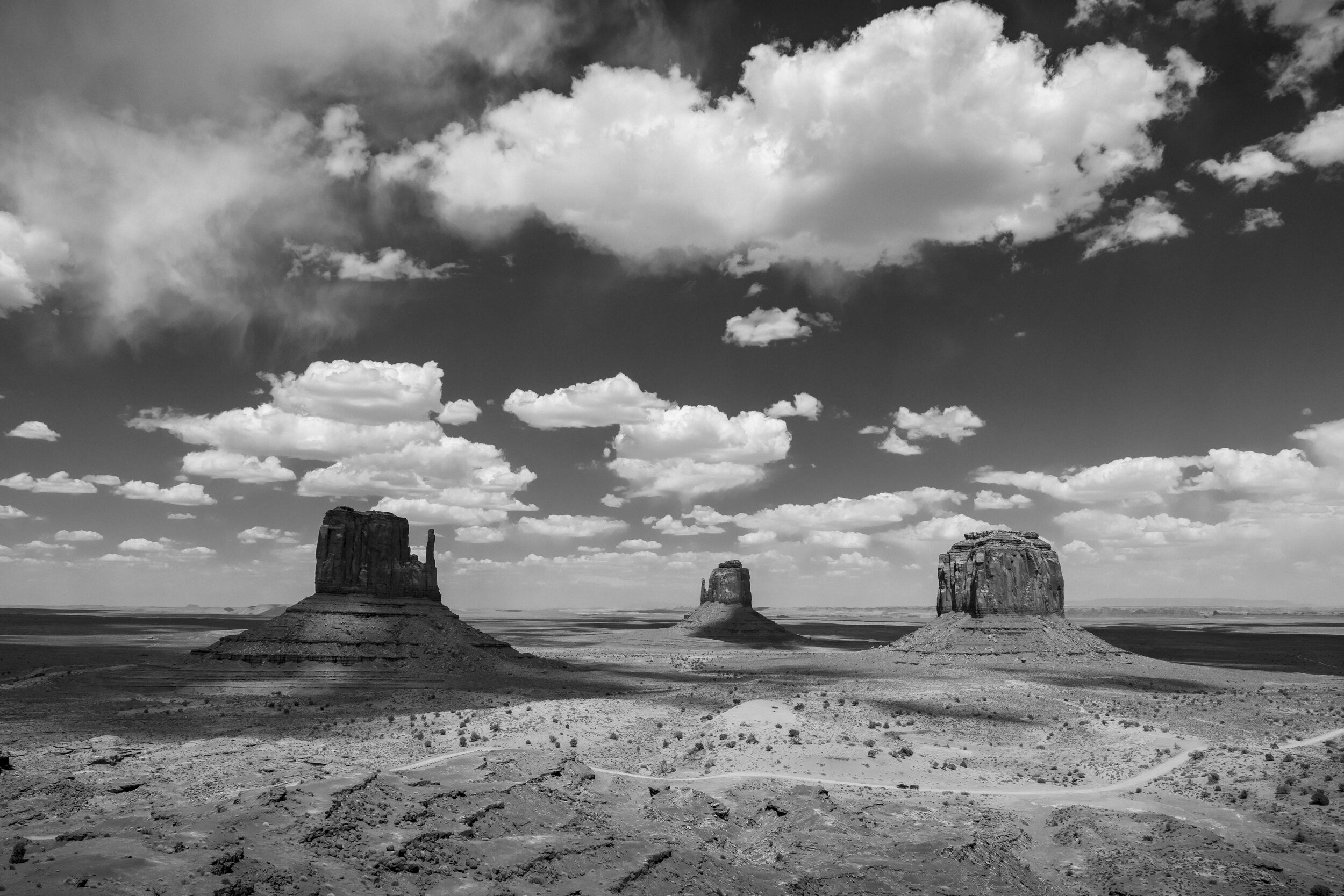 New Work — Steele Burrow Photography