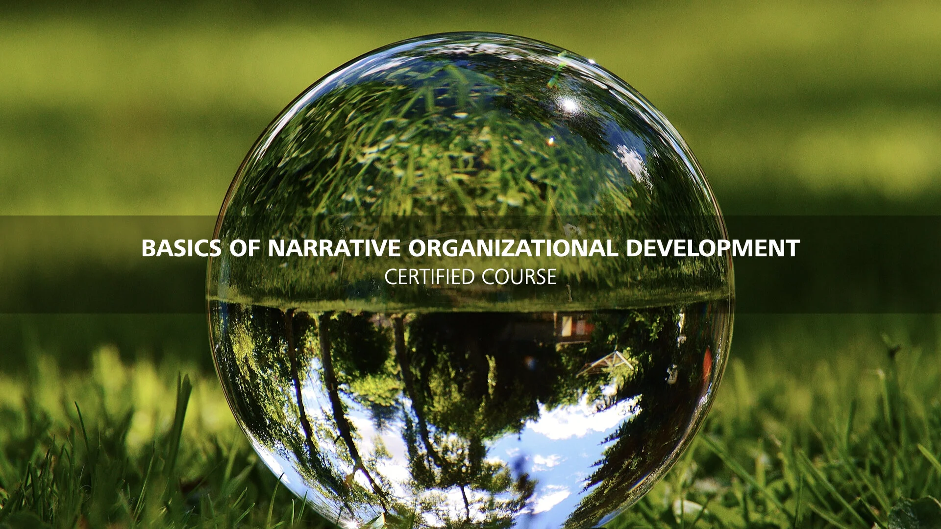 Narrative Organizational Development — Beyondstorytelling