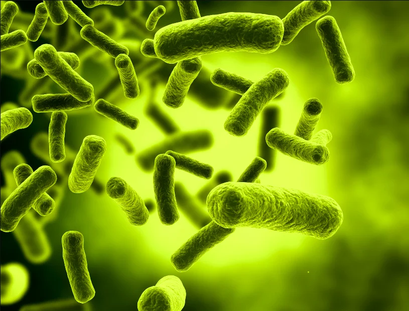 Ernest Pharmaceuticals