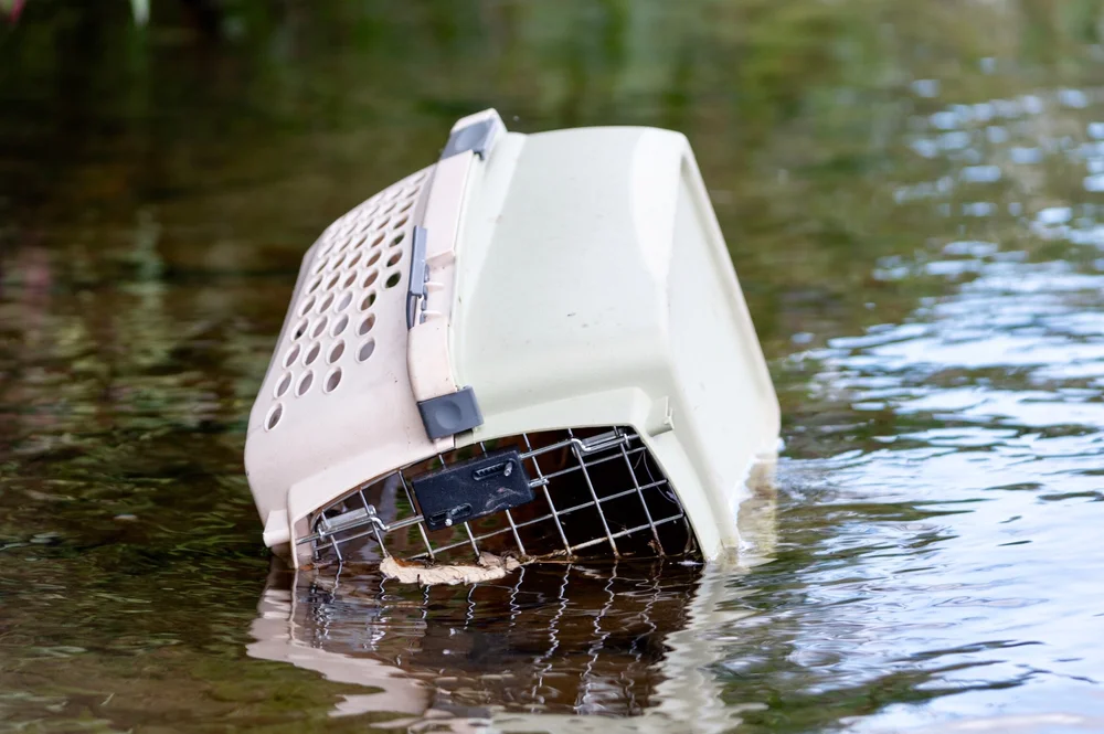 River Guardians — Willamette Riverkeeper