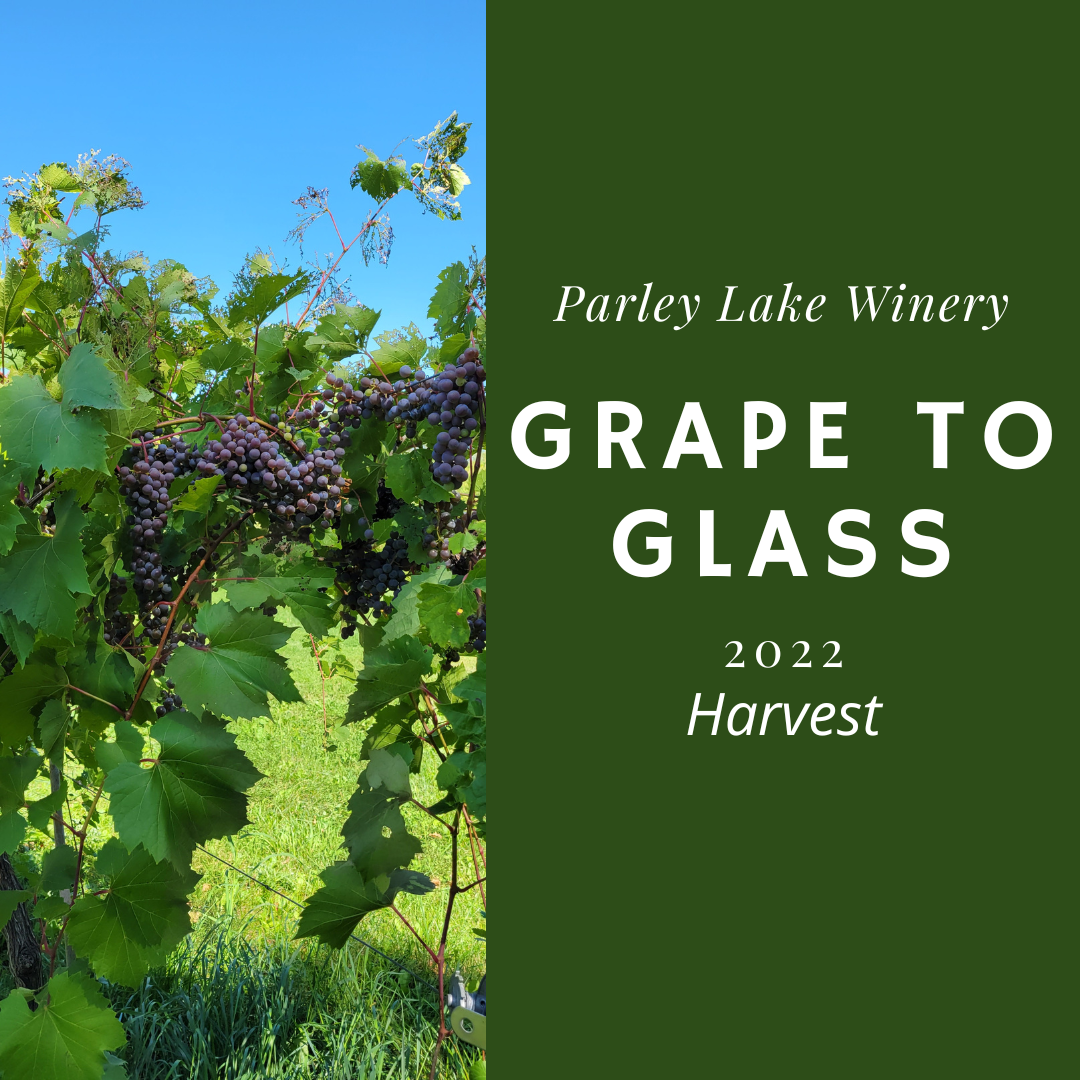 Parley Lake Winery - Waconia, MN