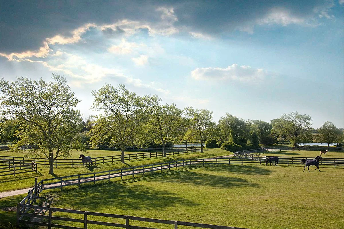 Welcome to Silver Tide Stable