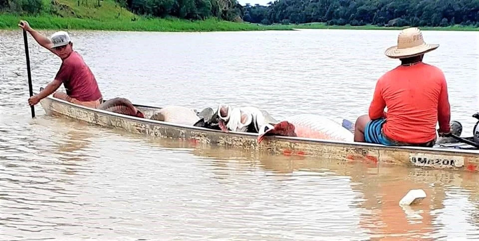 Sapopema planeja ações junto ao povo indígena Apurinã da Terra Indígena ...
