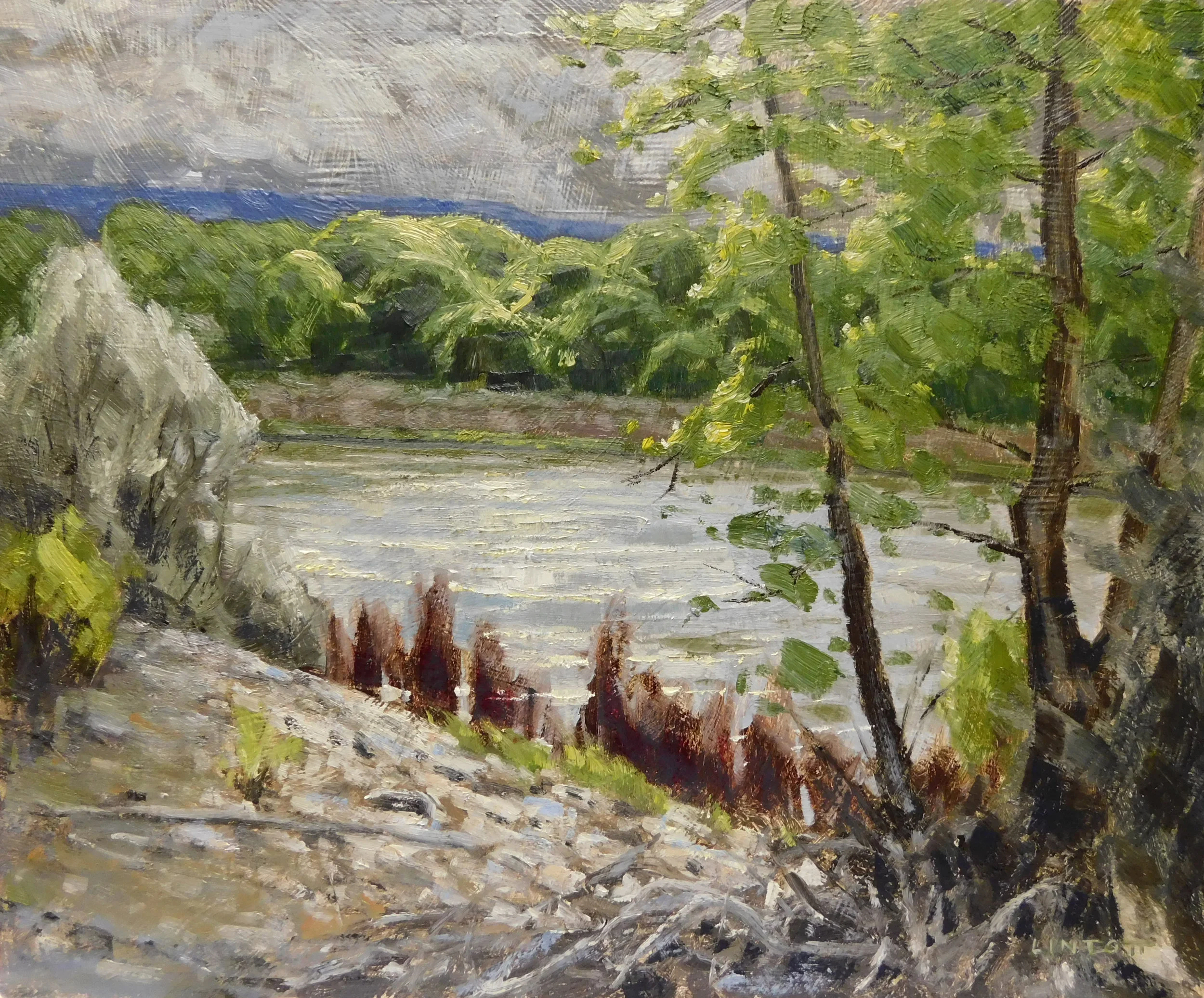 Field Work — John Lintott