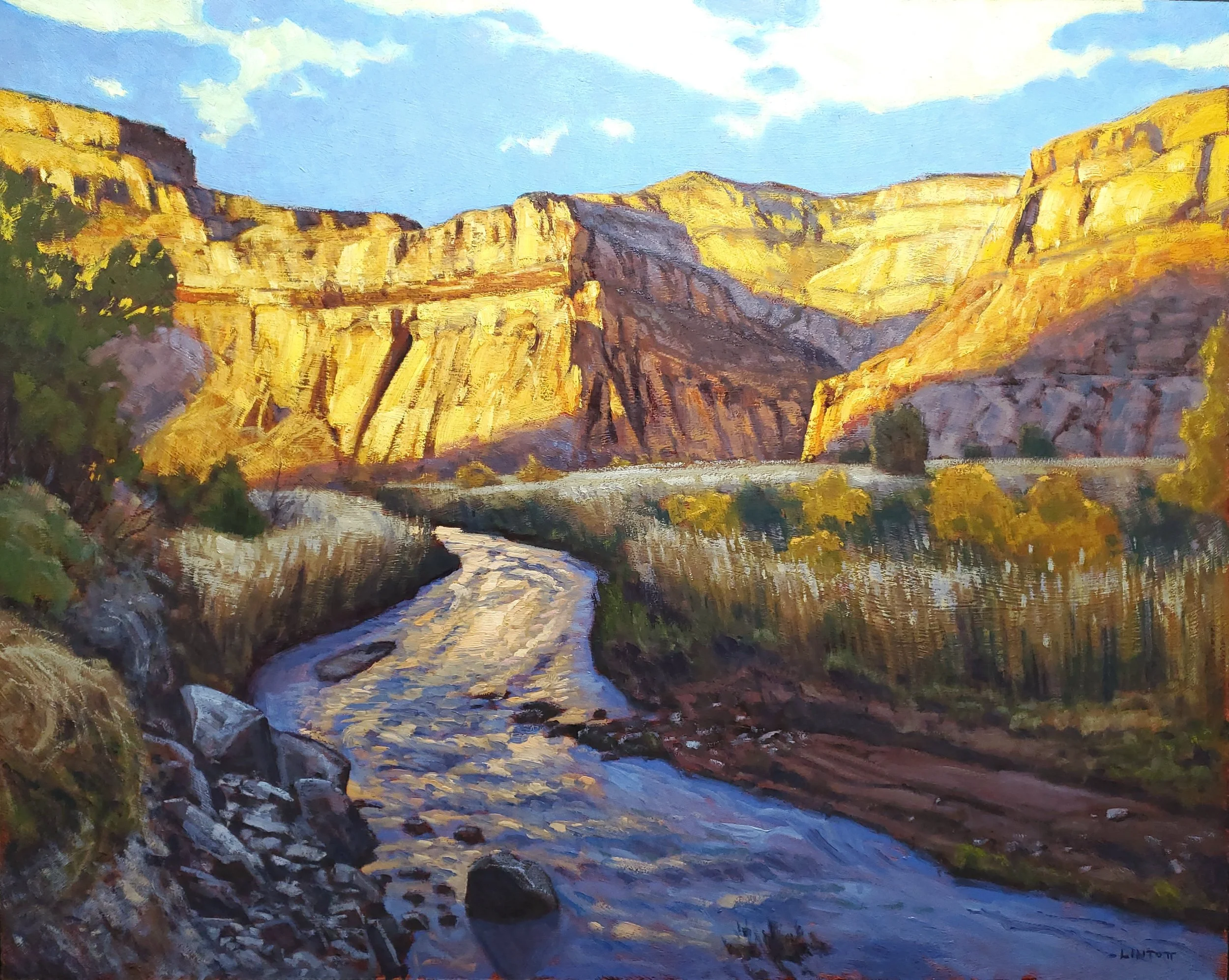 Studio Work — John Lintott