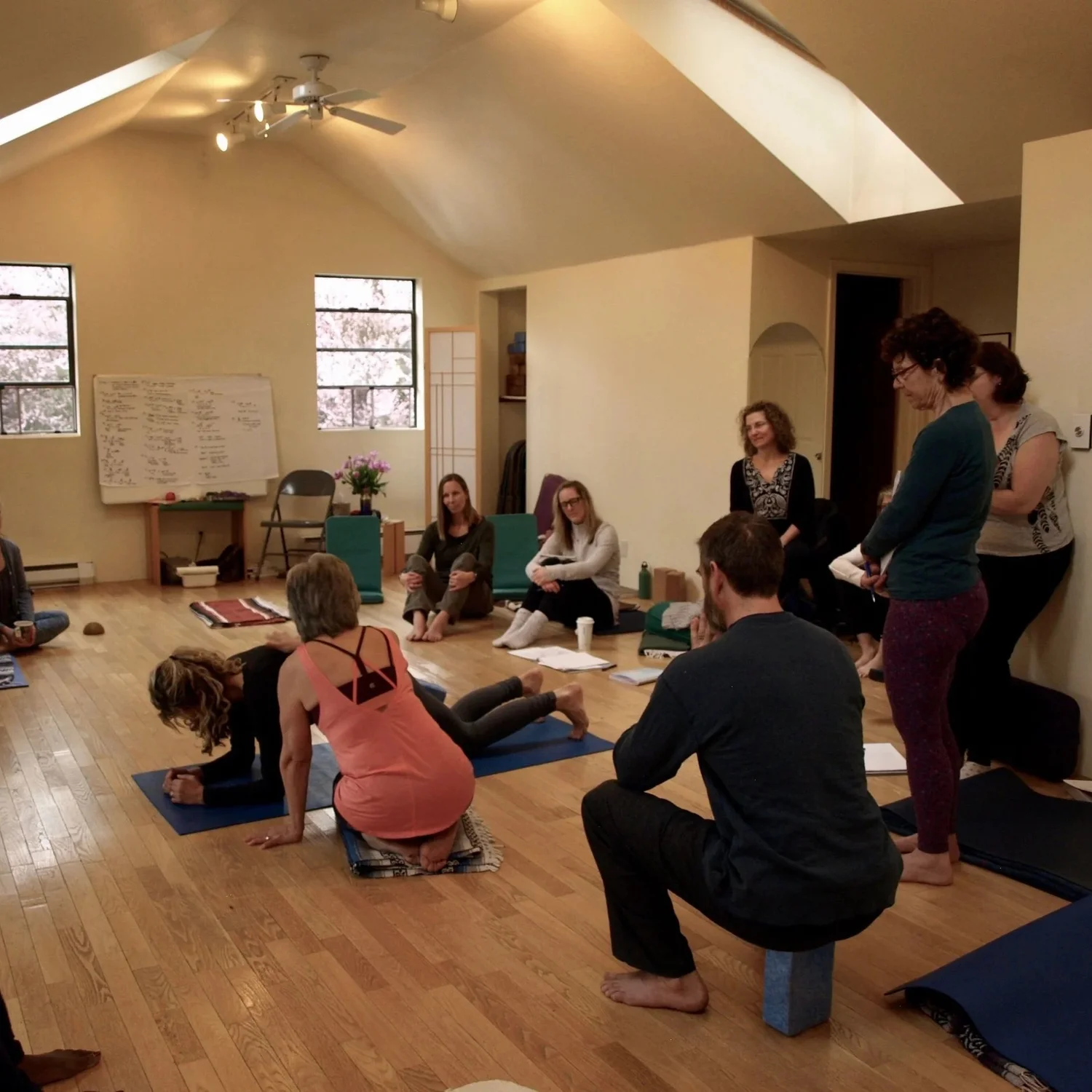 Training programs — Essential Yoga Therapy