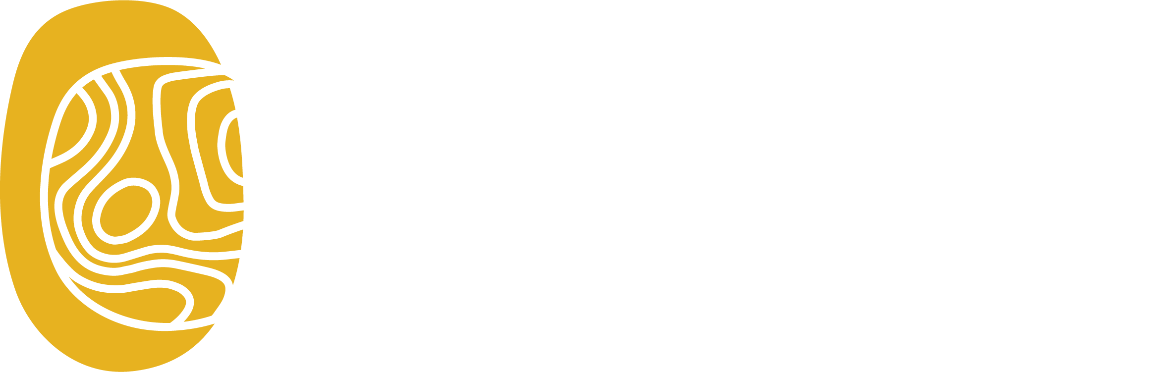 Confluence Logo
