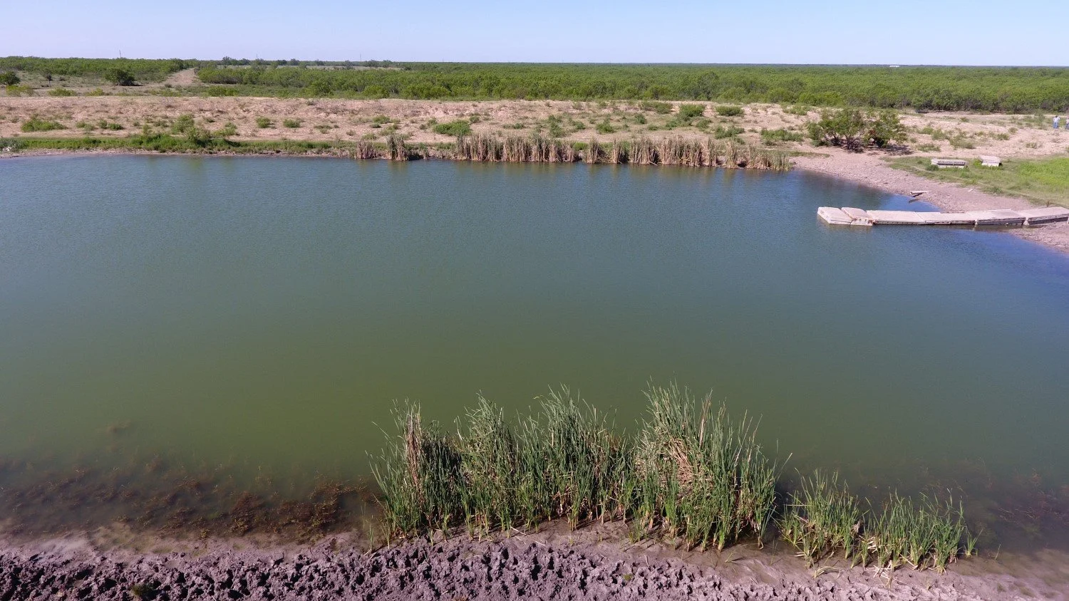 5620 Acres, Zavala County — Landmark Properties