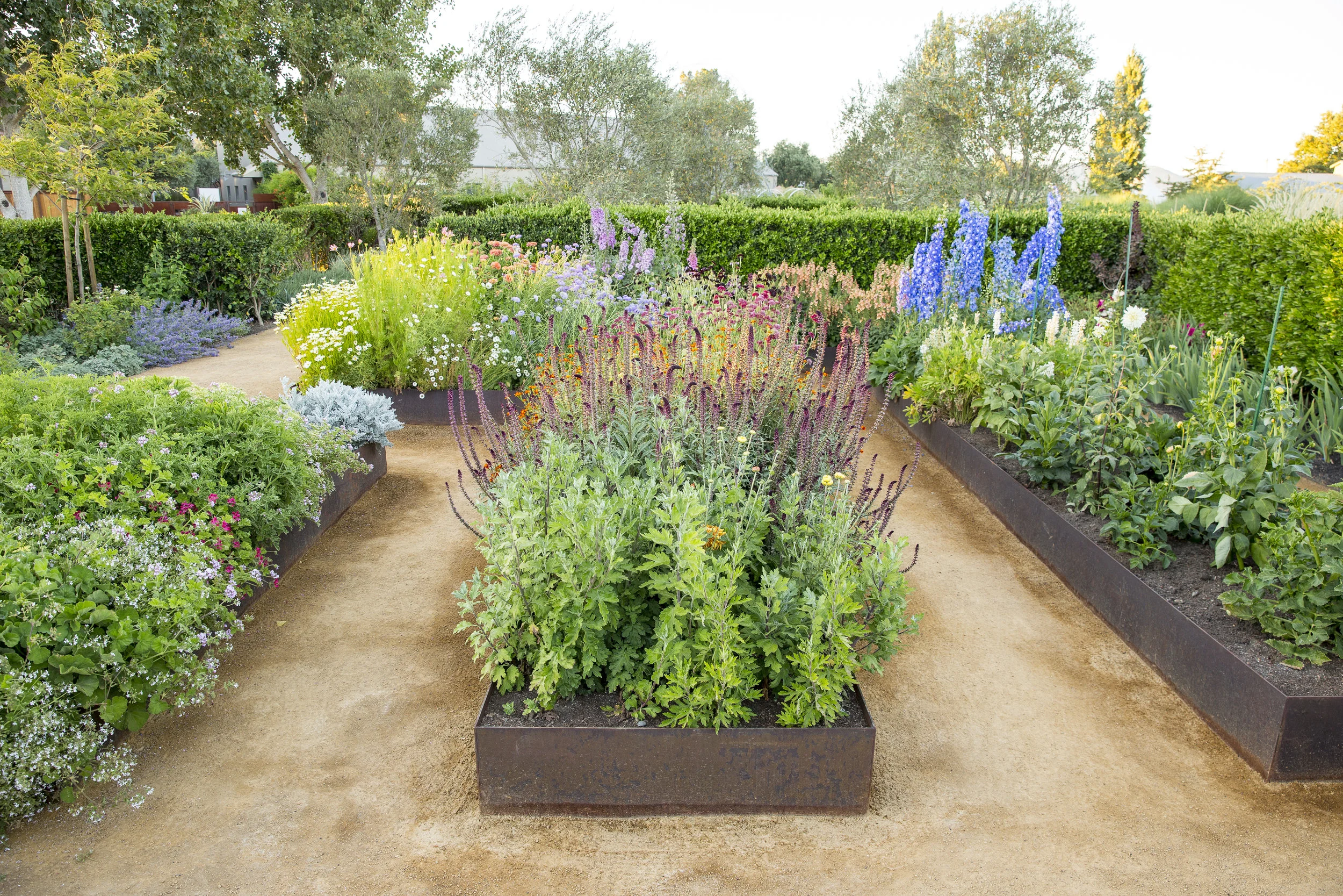 Sunset Magazine’s Test Garden — Homestead Design Collective