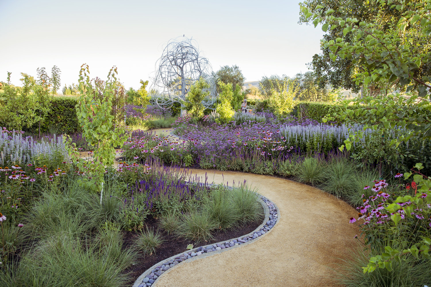 Sunset Magazine’s Test Garden — Homestead Design Collective