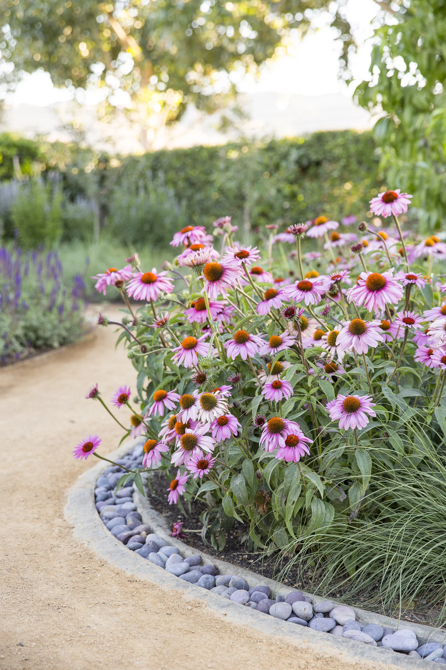 Sunset Magazine’s Test Garden — Homestead Design Collective