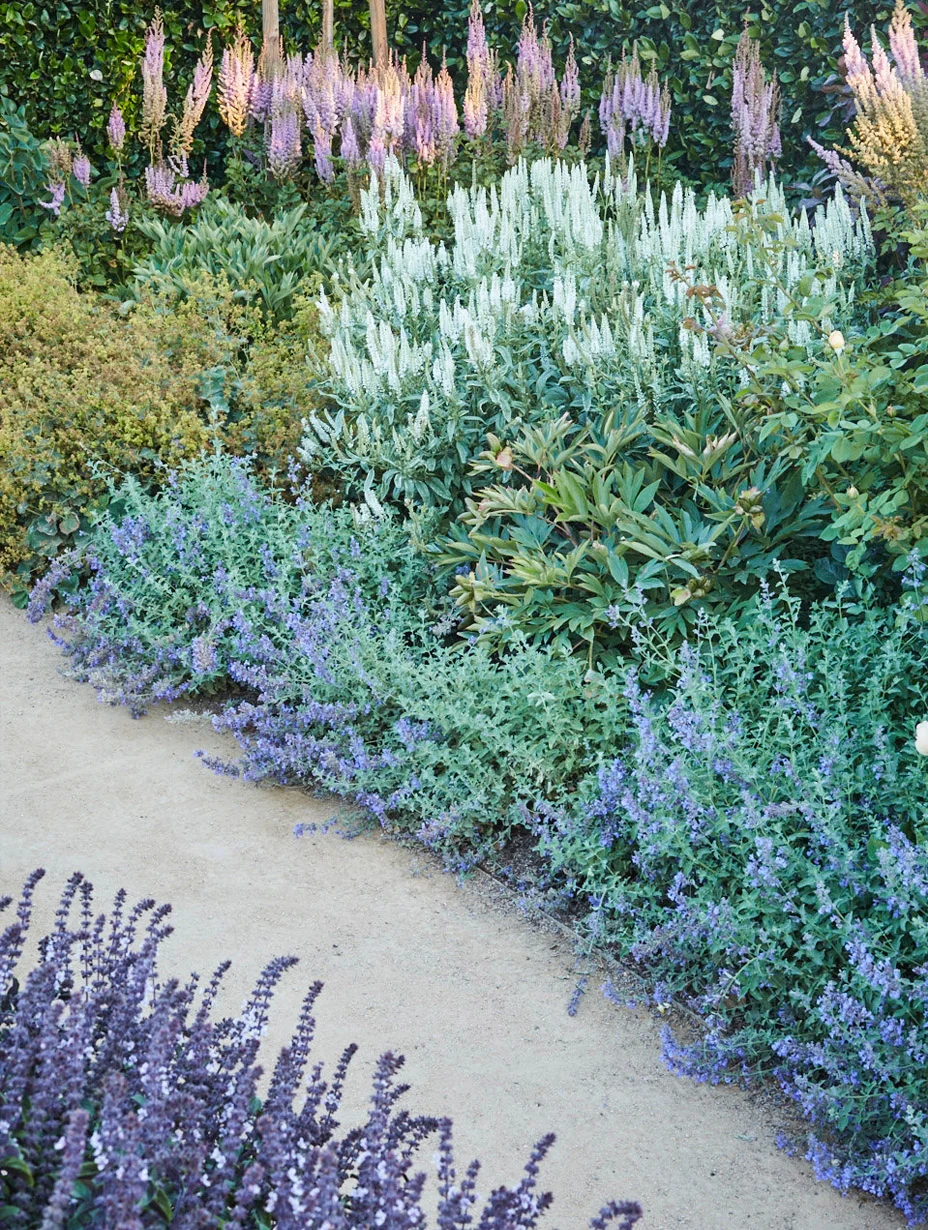 Sunset Magazine’s Test Garden — Homestead Design Collective