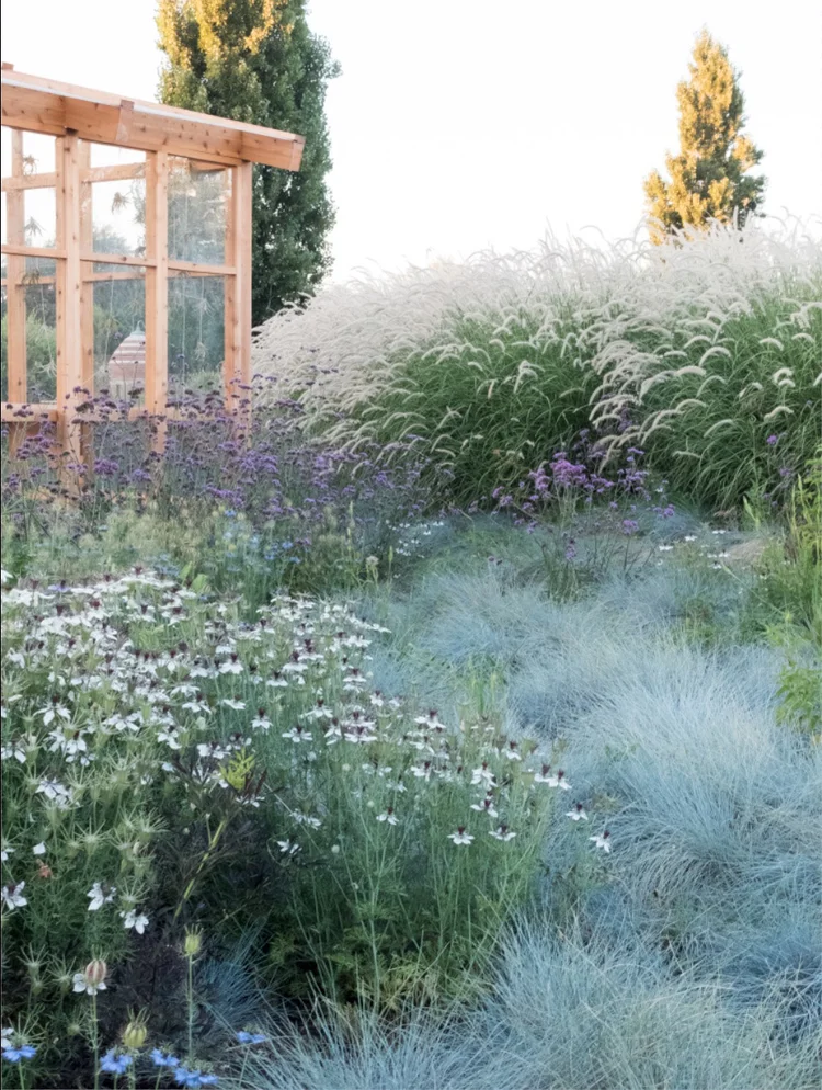 Sunset Magazine’s Test Garden — Homestead Design Collective