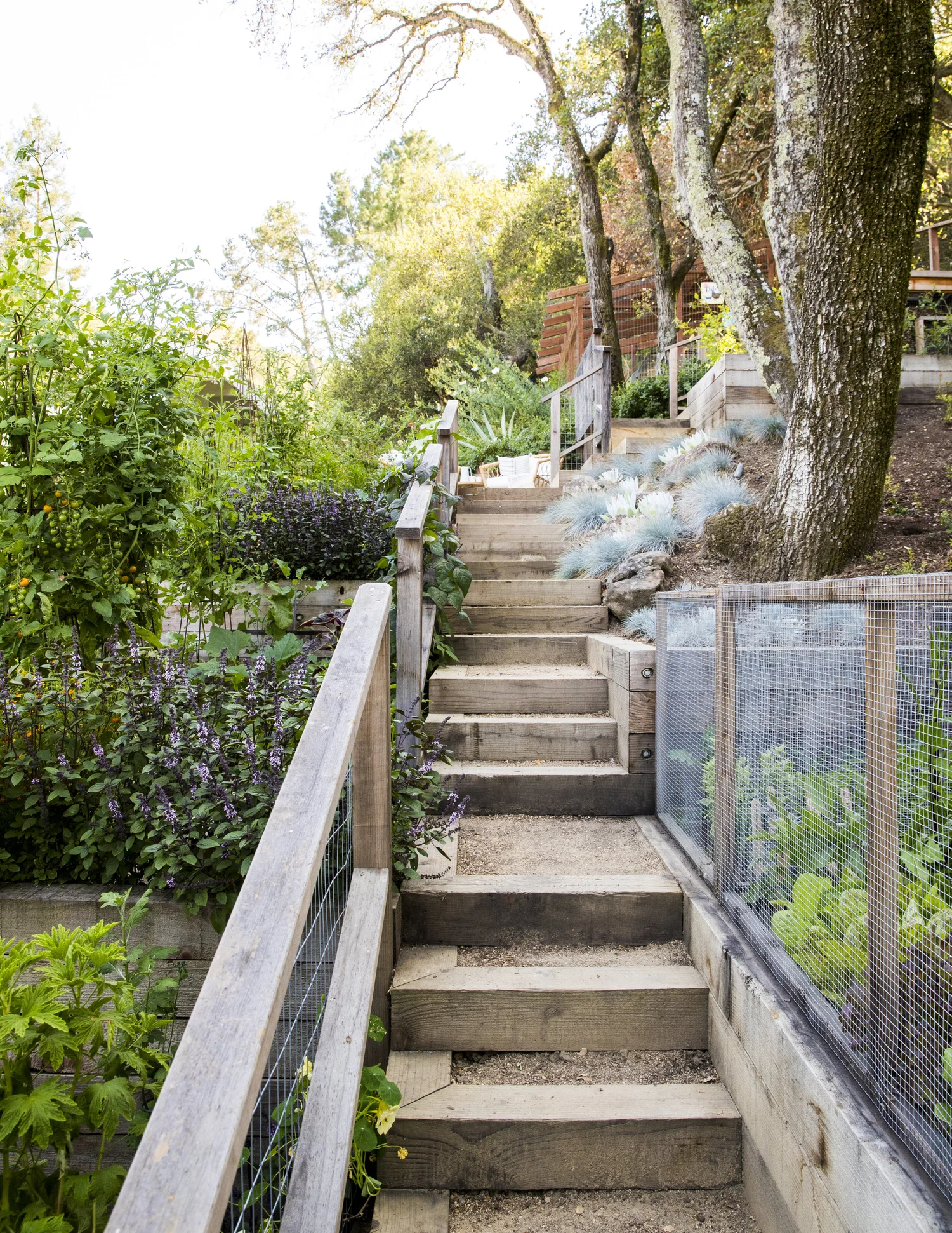 Hillside Garden — Homestead Design Collective