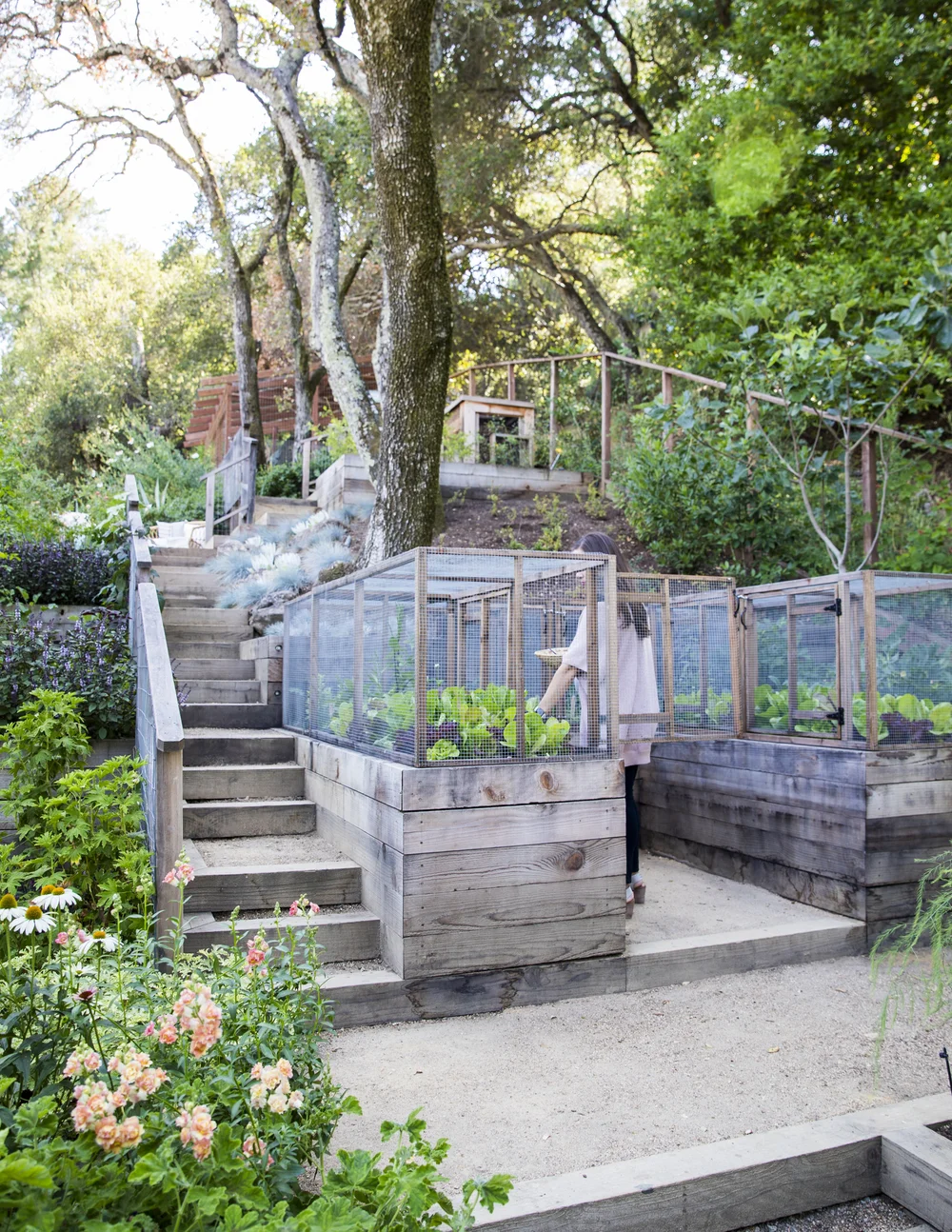 Hillside Garden — Homestead Design Collective