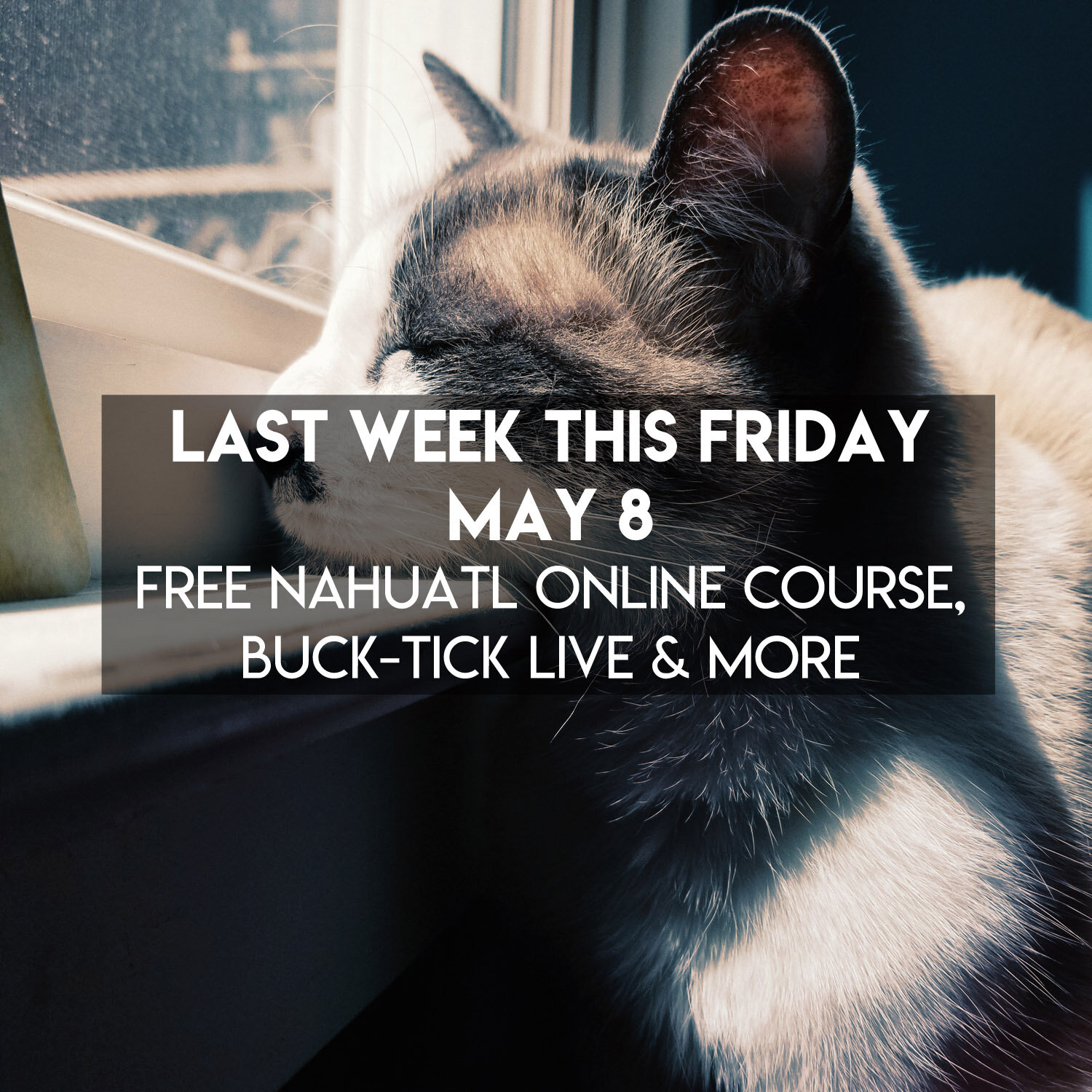 E. M. Markoff | Diverse Dark Fantasy Author