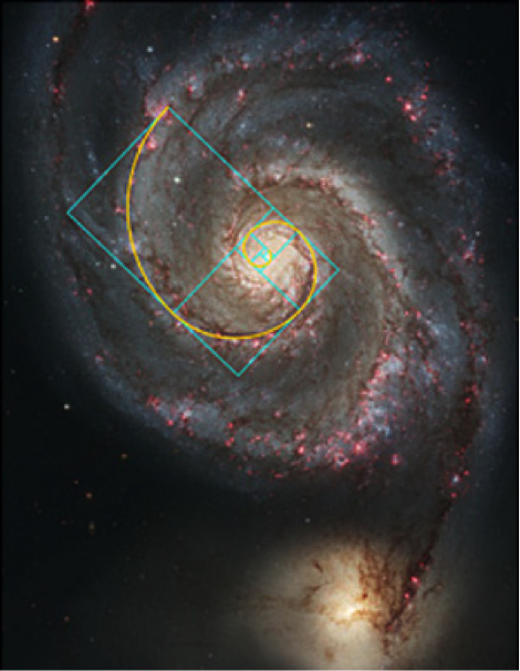 The Fabulous Fibonacci Numbers and the Golden Mean — Worcester ...