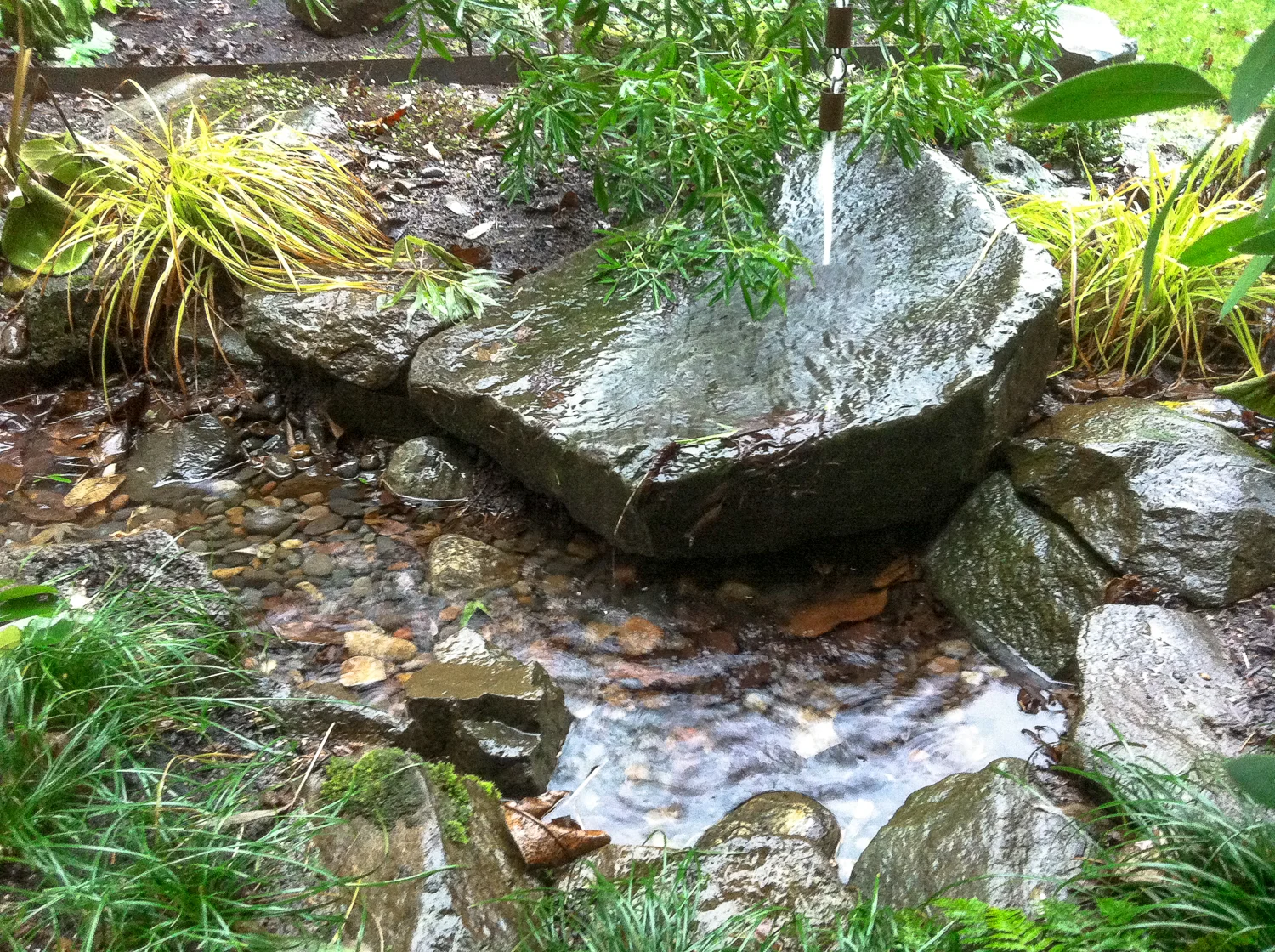 Overlook — Pistils Landscape Design + Build