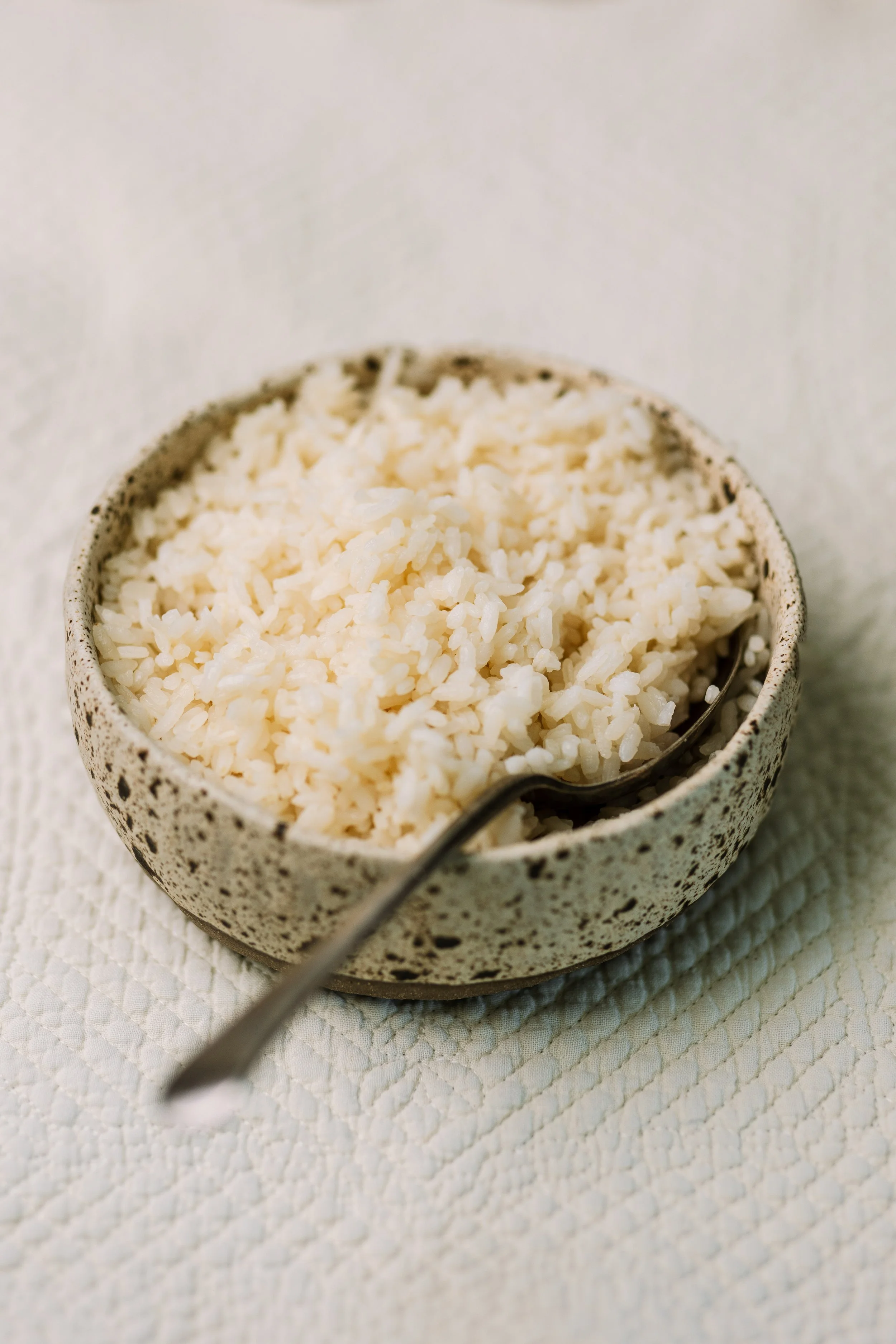 Boob to Food's Brothy Rice