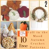10 Free Fall in the Mood Autumn Crochet Patterns Round Up — Stitch & Hustle