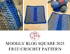 Moogly CAL 2025 Blanket Square — Stitch & Hustle