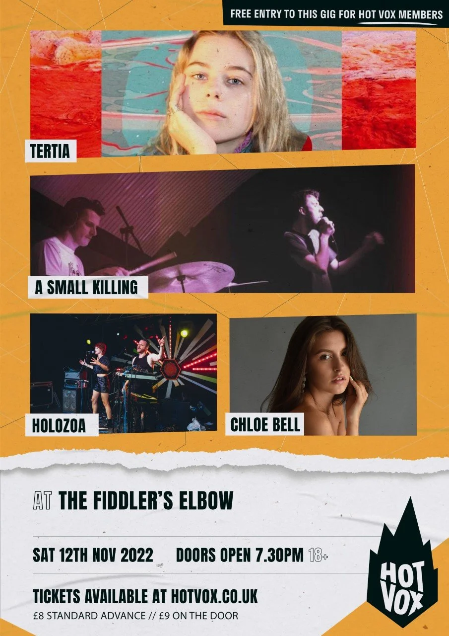 HOT VOX Presents: Tertia // A small killing // Holozoa // Chloe Bell — The Fiddlers Elbow