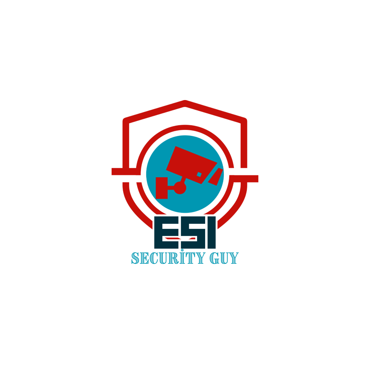 ESI SECURITY GUY