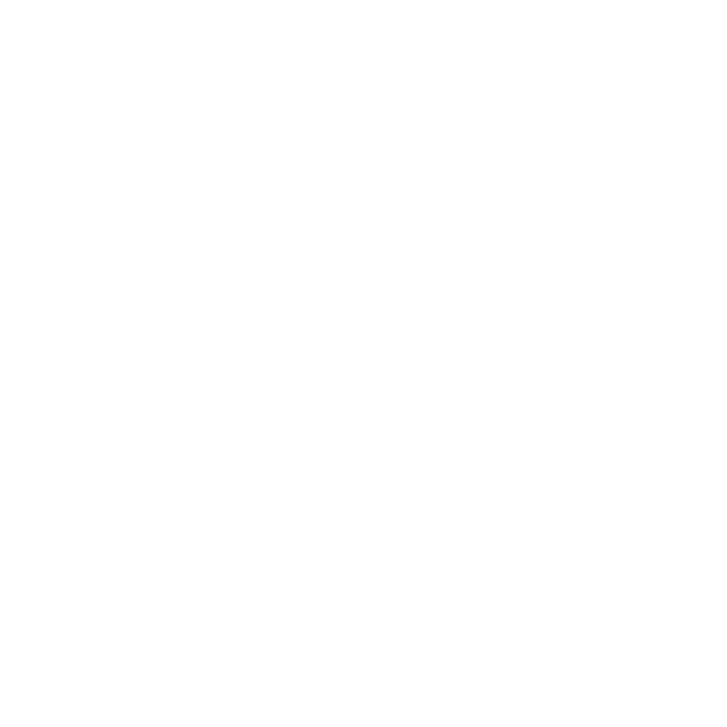 MANE MUSE STUDIO — Mane Muse Beauty