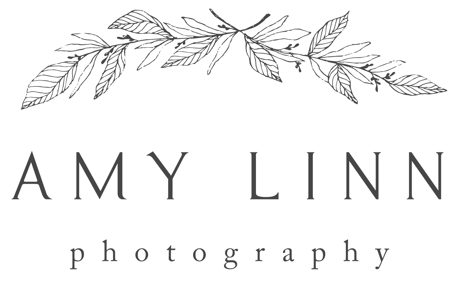 Amy Linn Photography