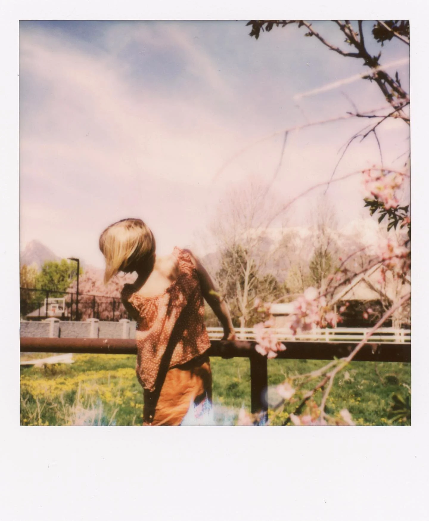 Personal Projects | Cami Turpin of Blue Hill Images — Utah Photographer ...