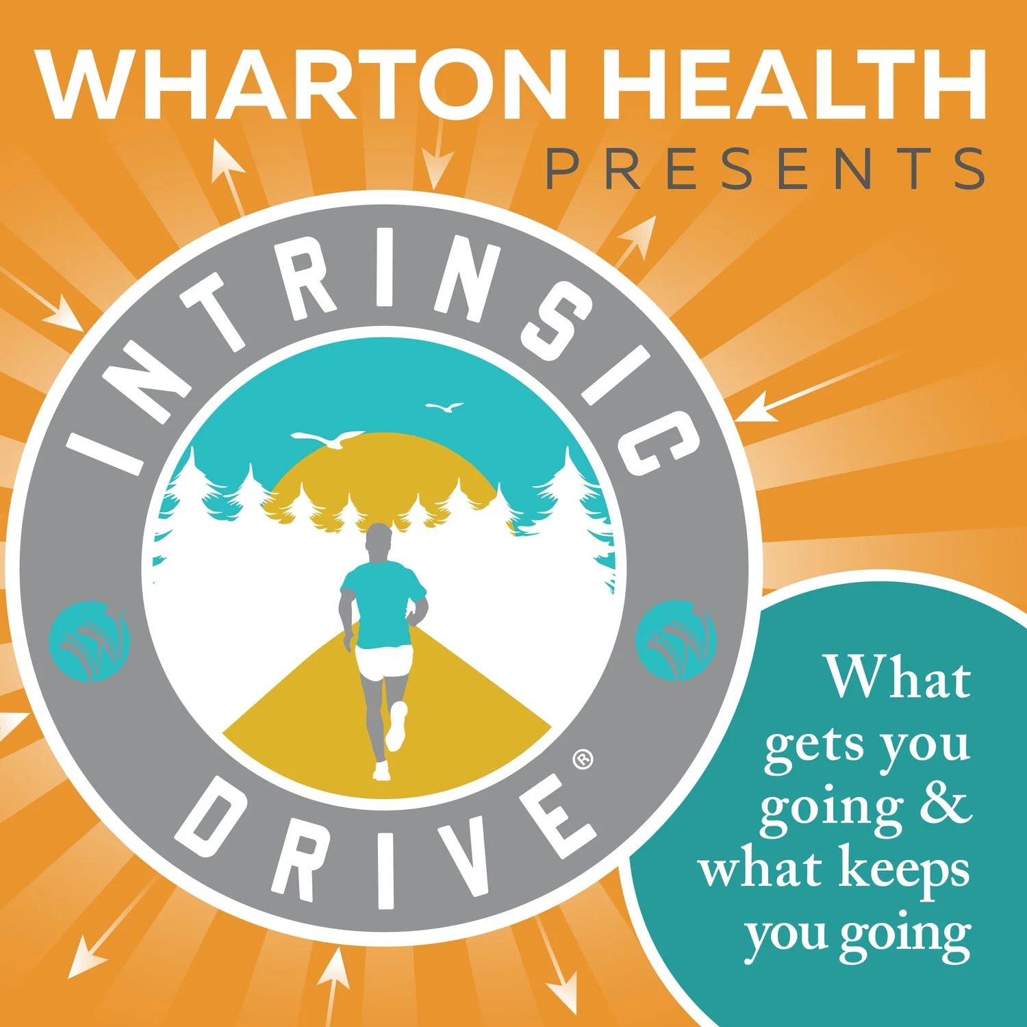 Phil Wharton Phil Wharton