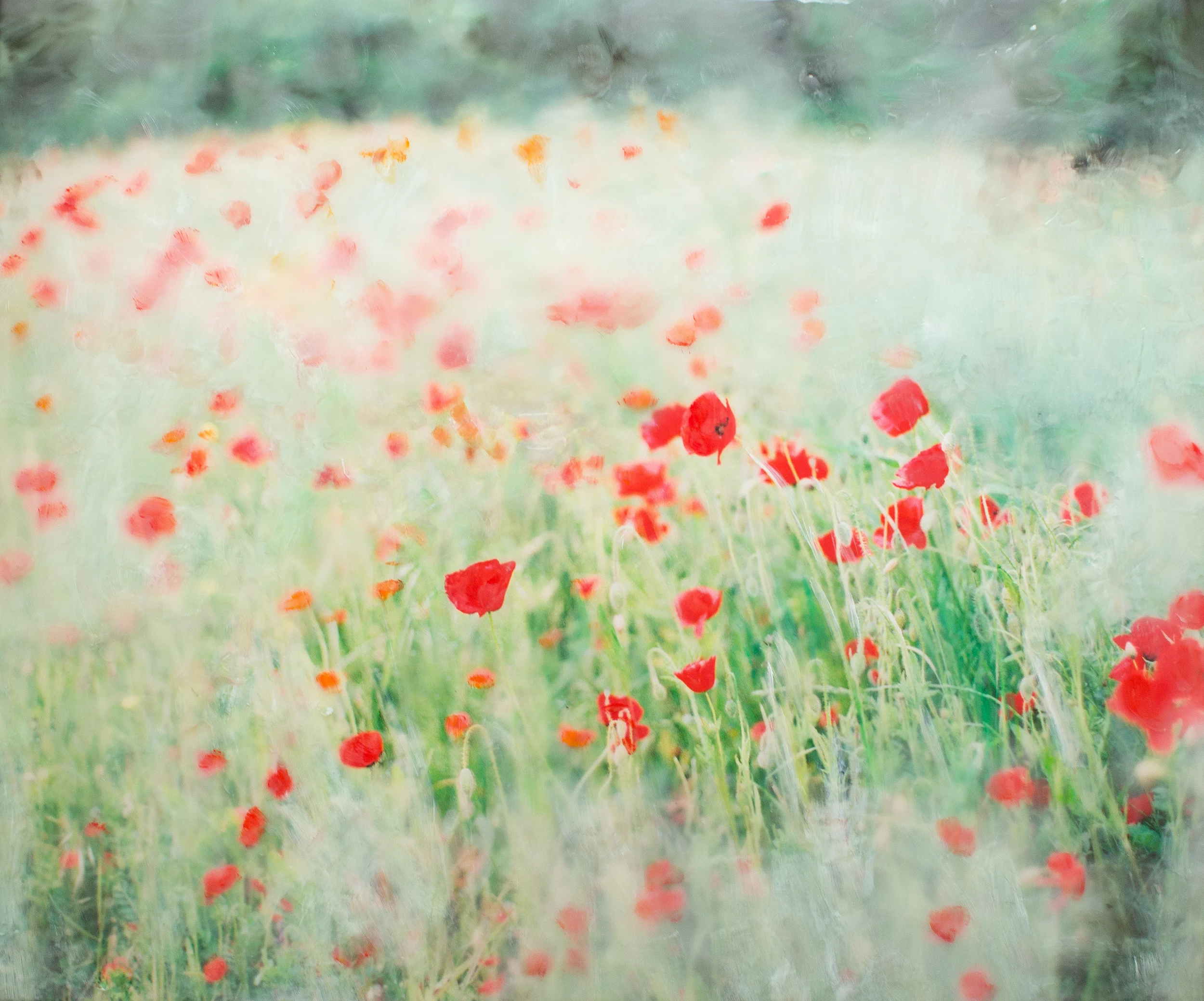 Monet's Garden — Kayla Barker Fine Art Prints and Photo Encaustic Art