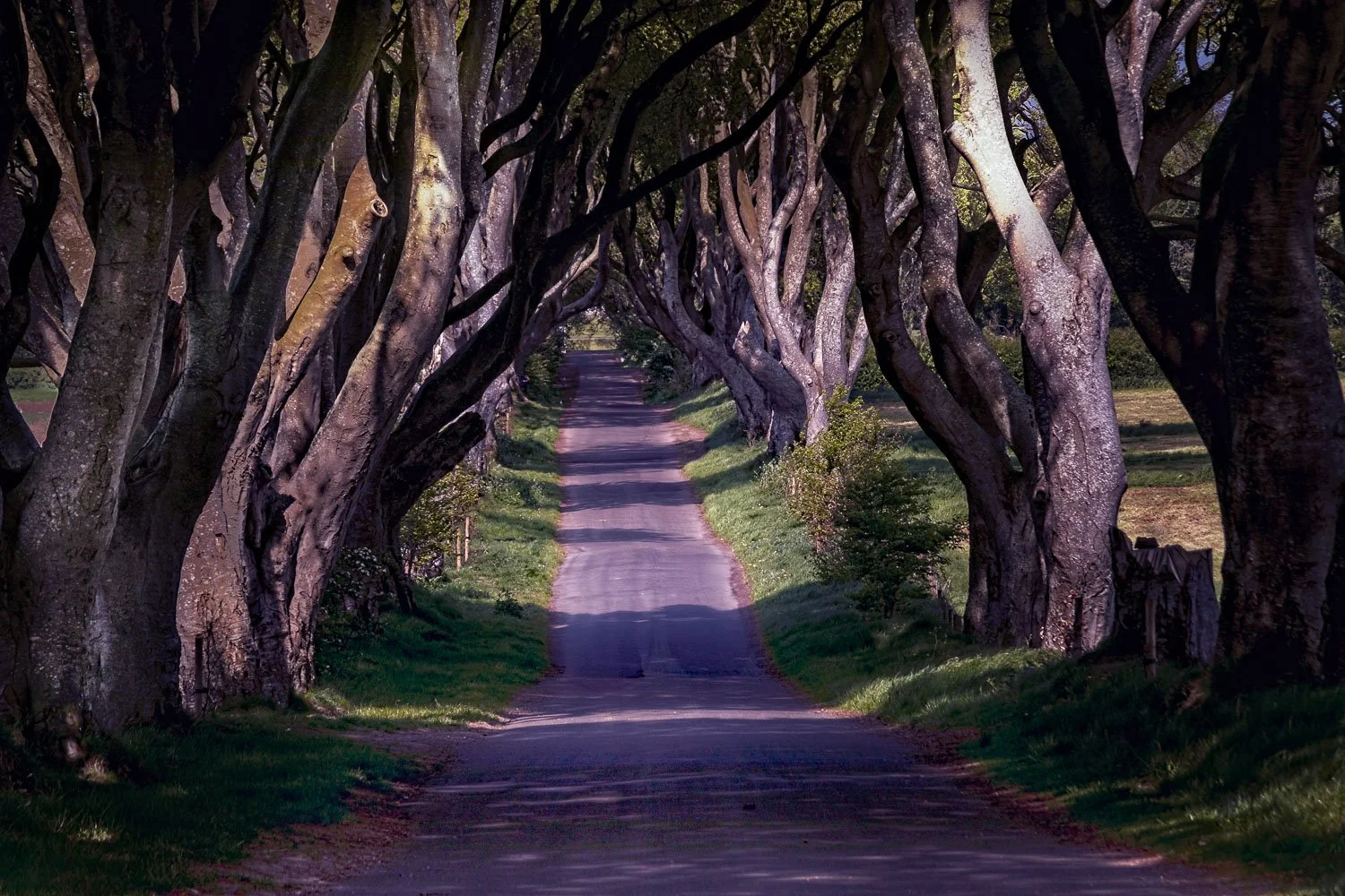Where did Game of Thrones come from? — Victor Clarke Photography
