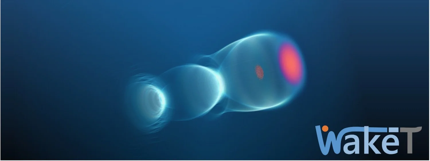 Simulation Tools — MPL