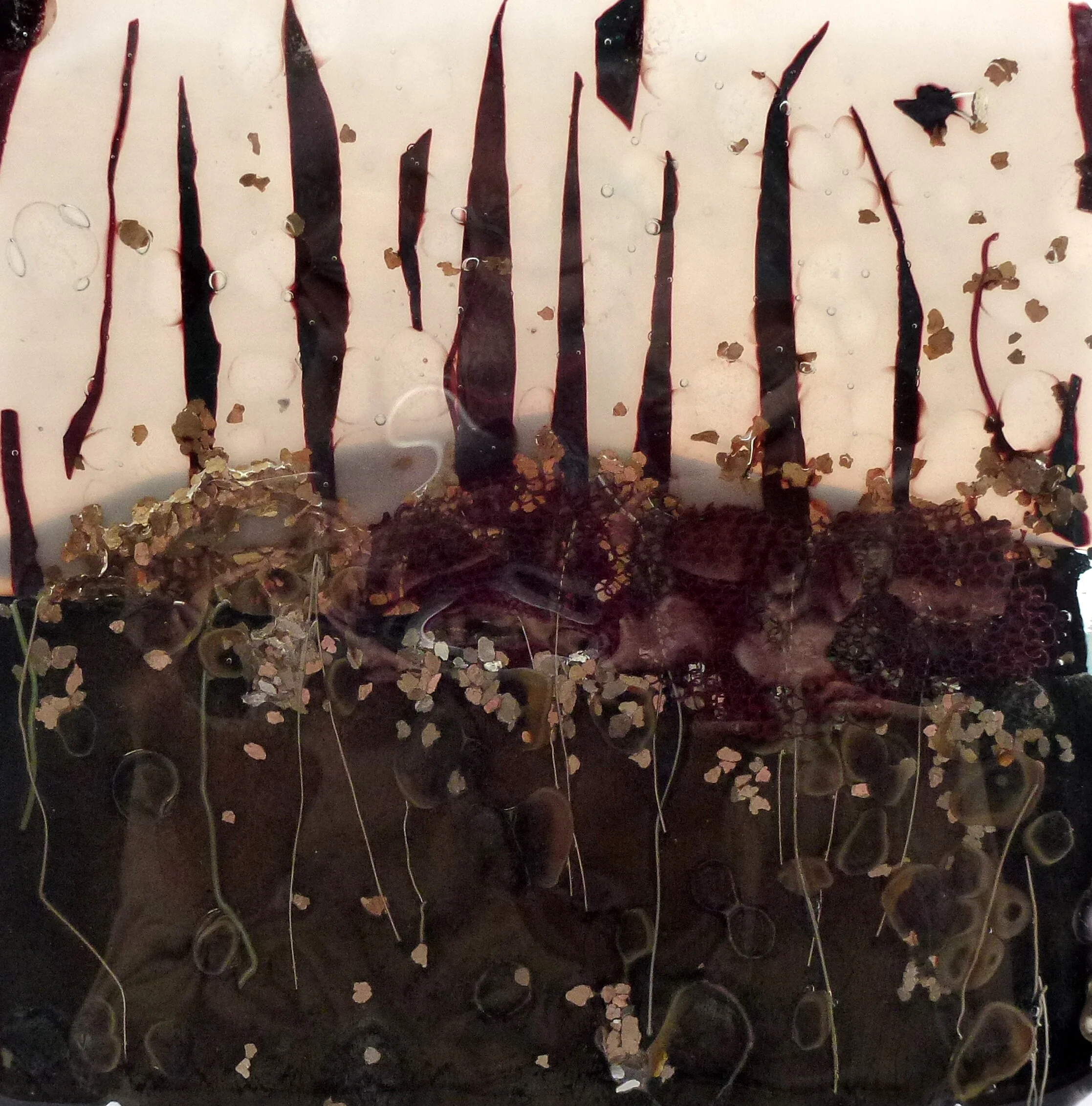 Jeanette Cook glass fusion artist News — Jeanette Cook