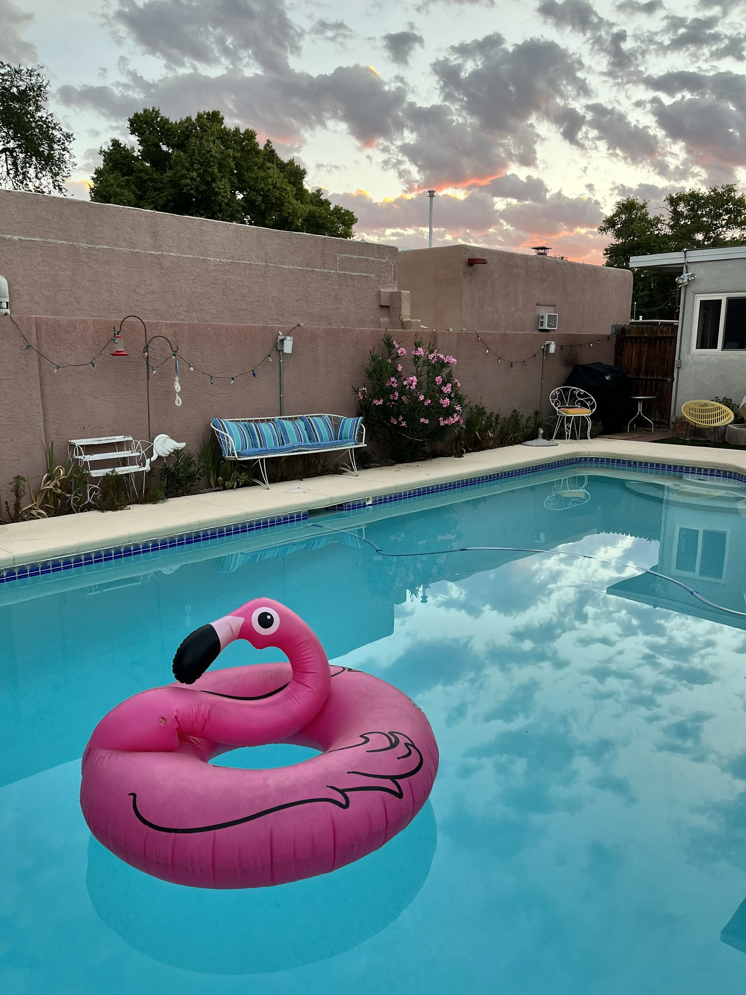 Blog — Chelle Summer