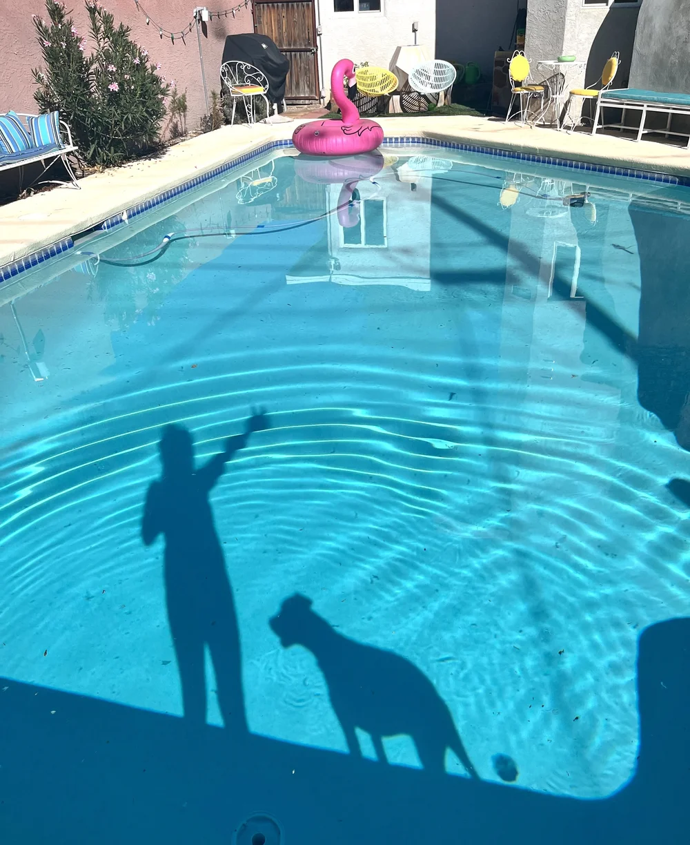 Blog — Chelle Summer