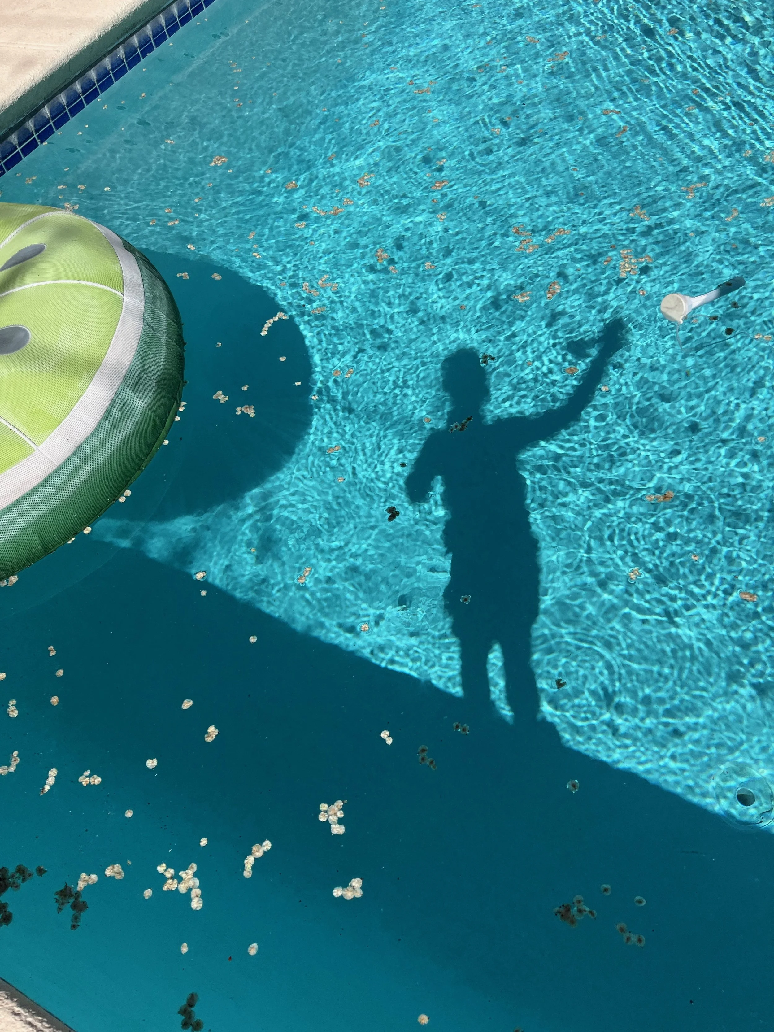 Finding Balance — Chelle Summer