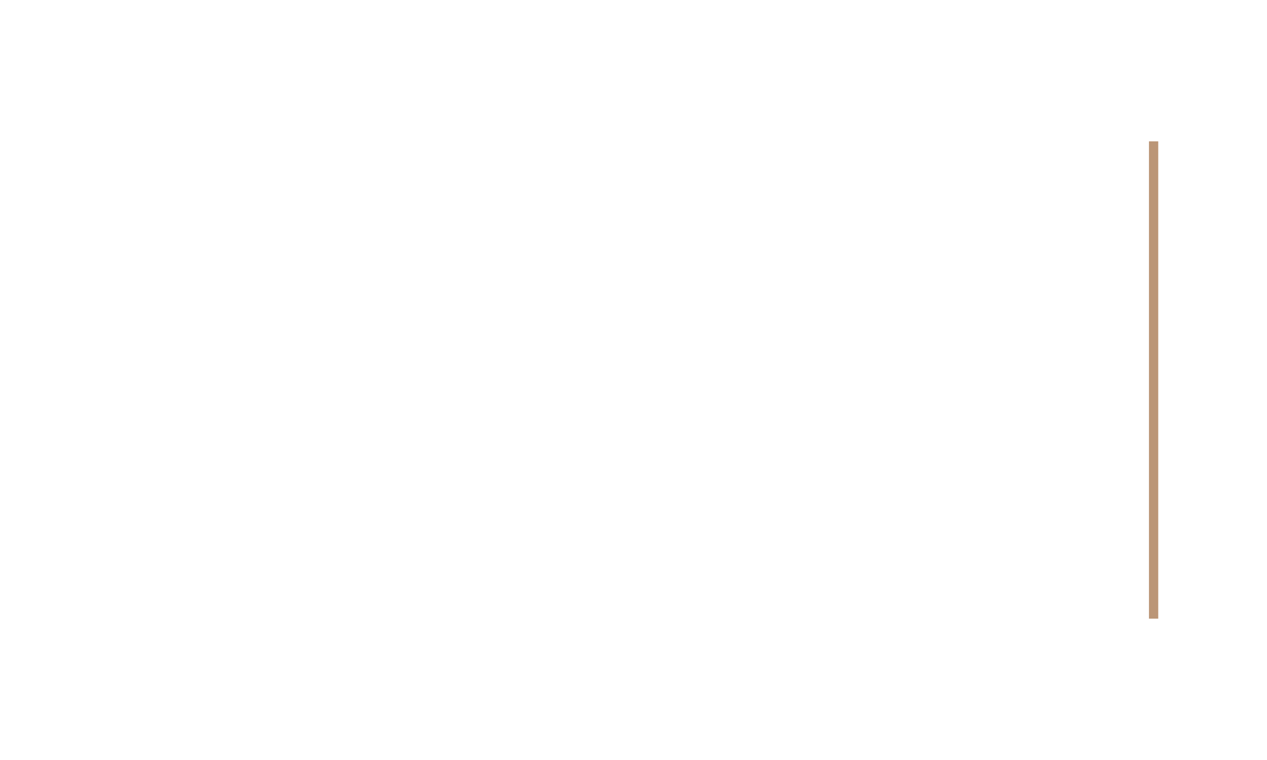 Dr. Corey Lapp Naturopathic Doctor