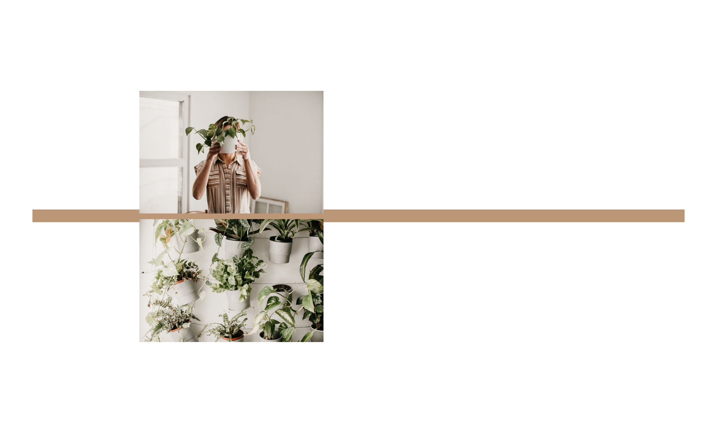 Dr. Corey Lapp Naturopathic Doctor