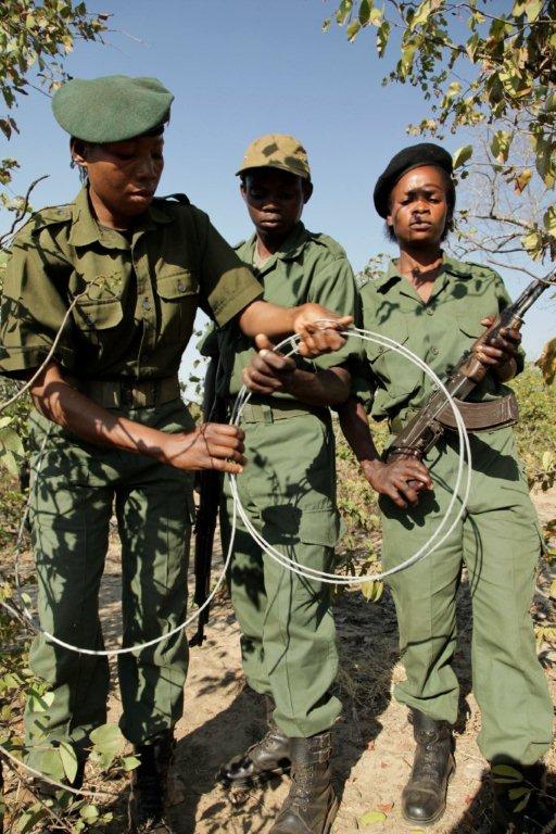 Wildlife Rescue — Conservation South Luangwa