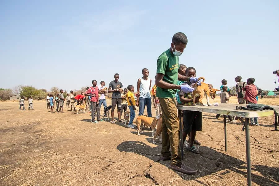 Veterinary Outreach — Conservation South Luangwa