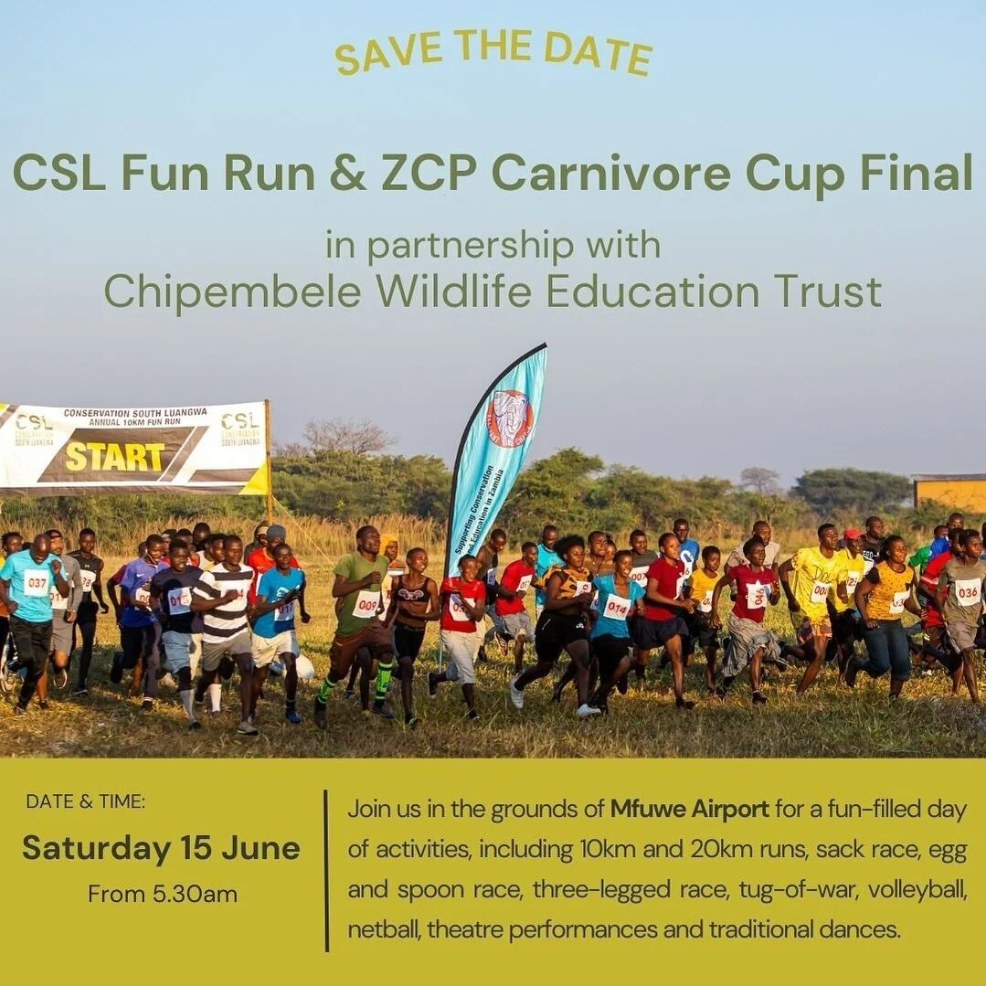 Conservation South Luangwa