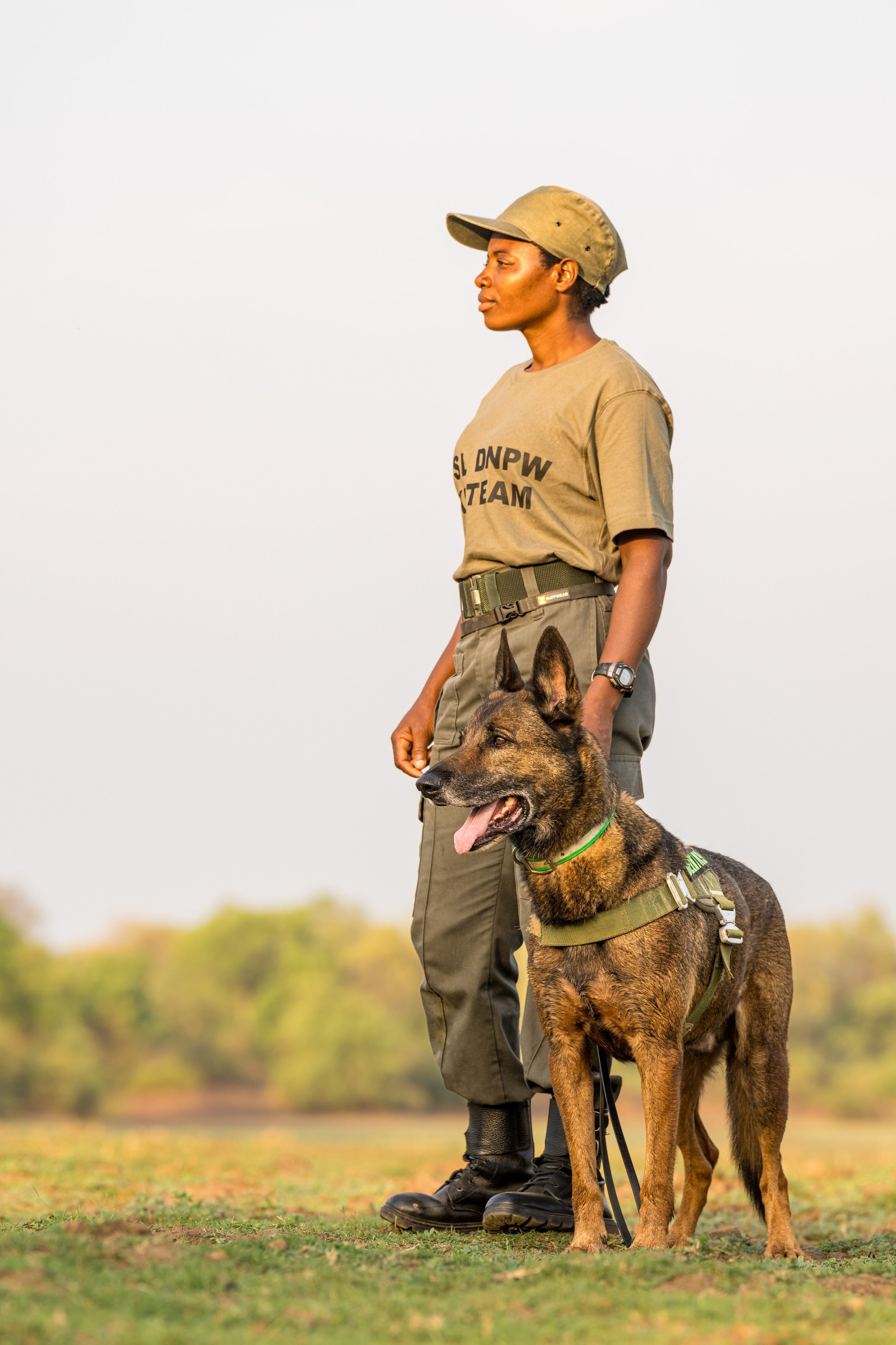 South Luangwa K9 Unit — Conservation South Luangwa