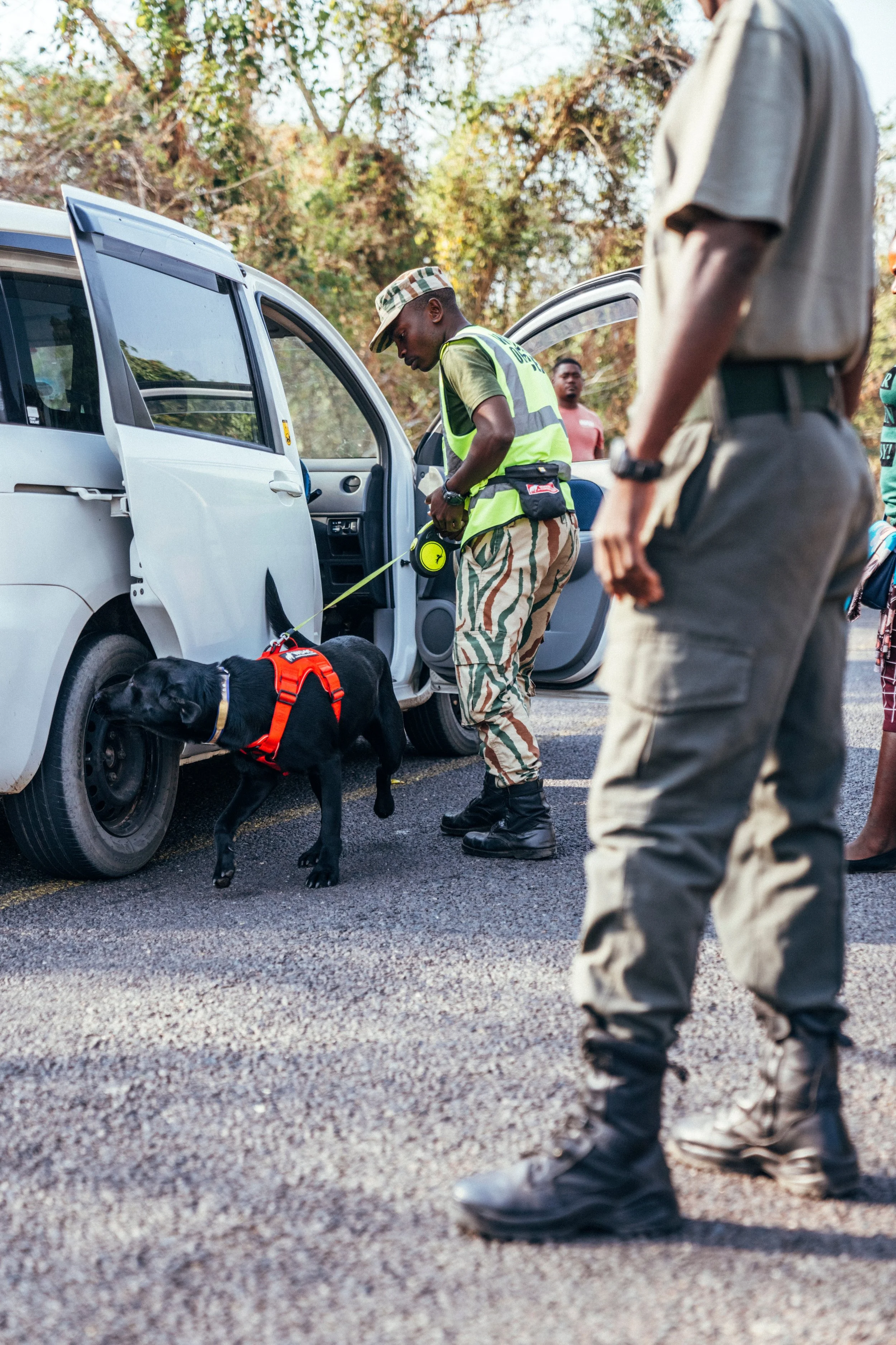 South Luangwa K9 Unit — Conservation South Luangwa