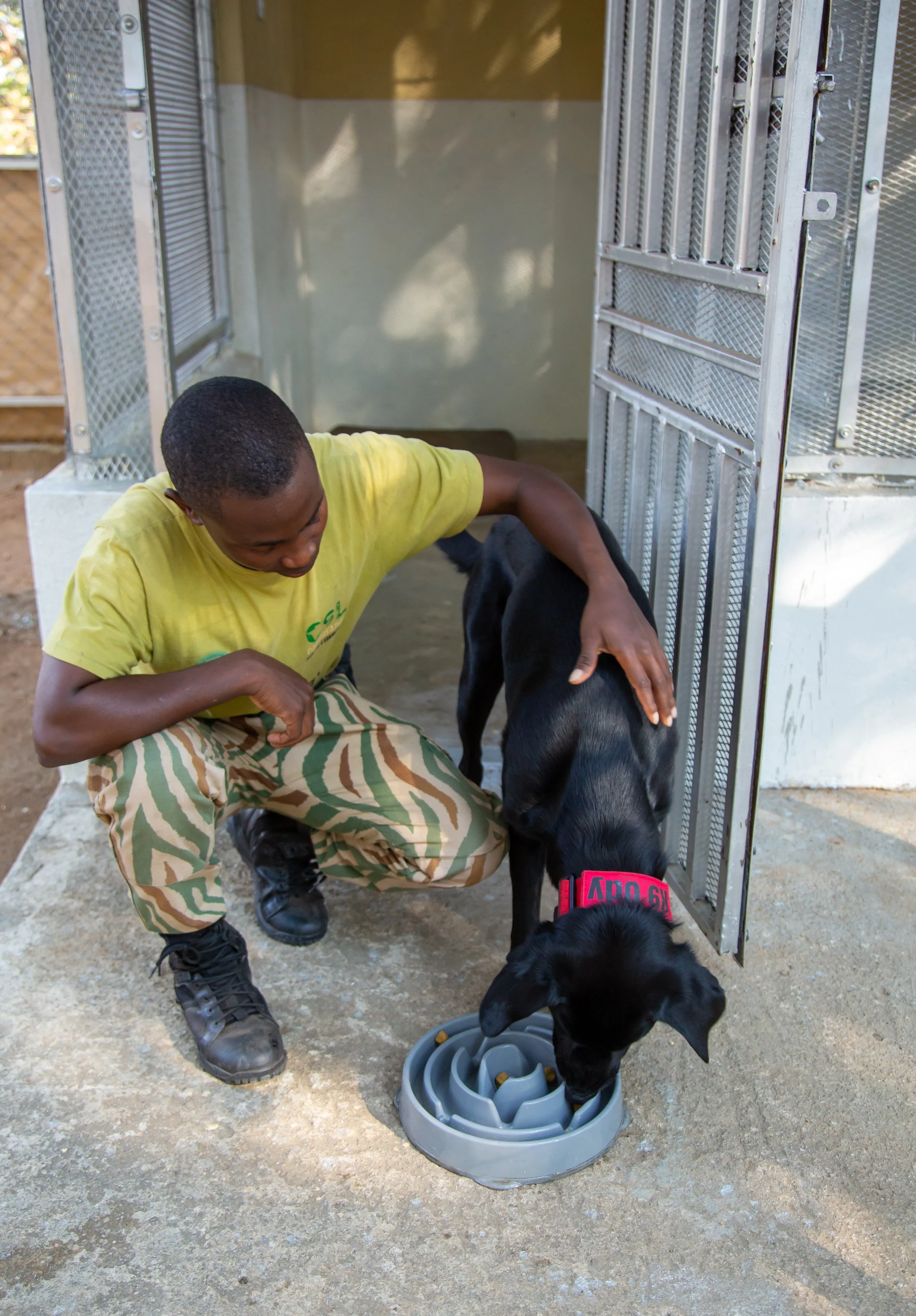 South Luangwa K9 Unit — Conservation South Luangwa