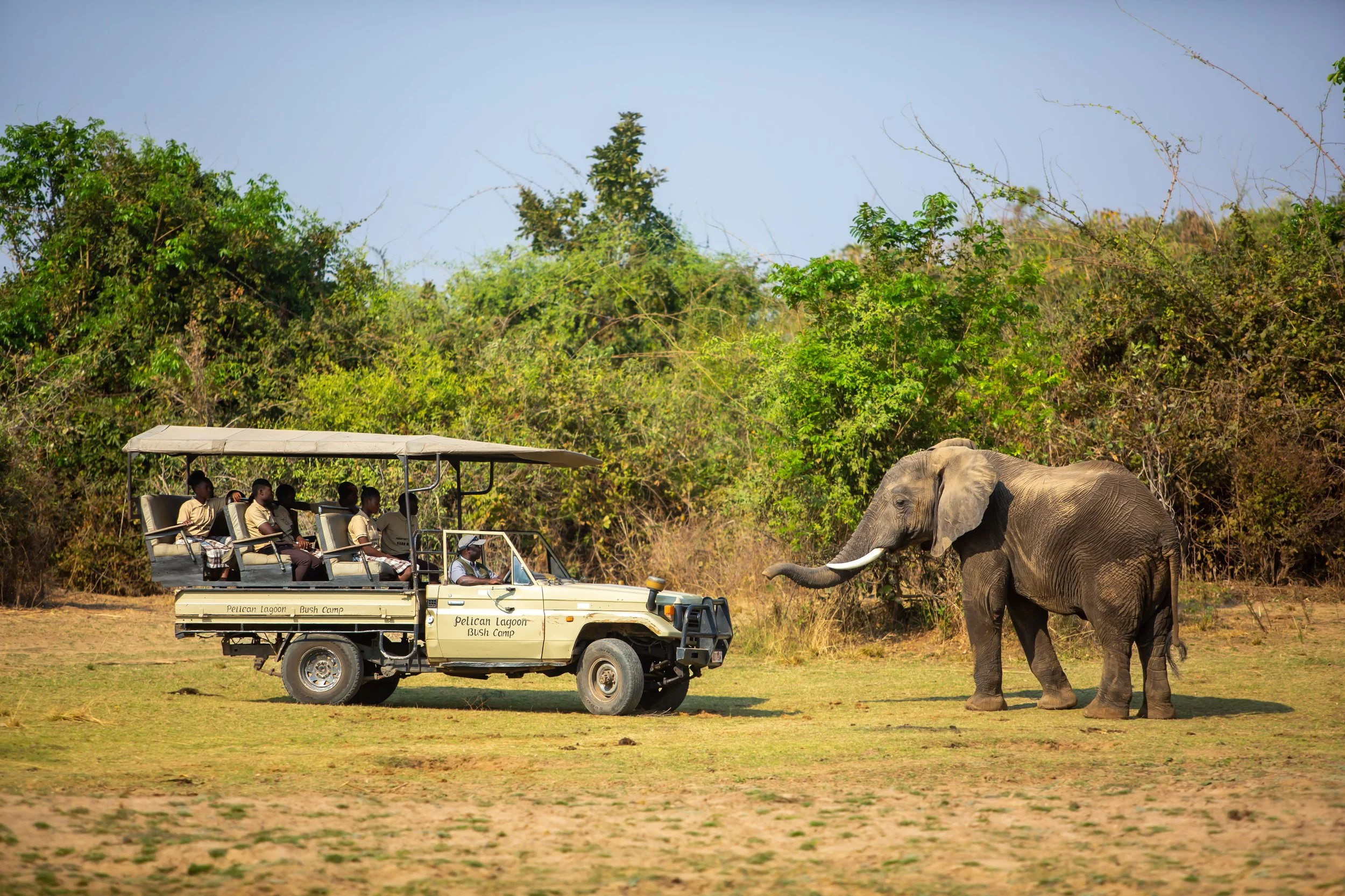 Community awareness — Conservation South Luangwa