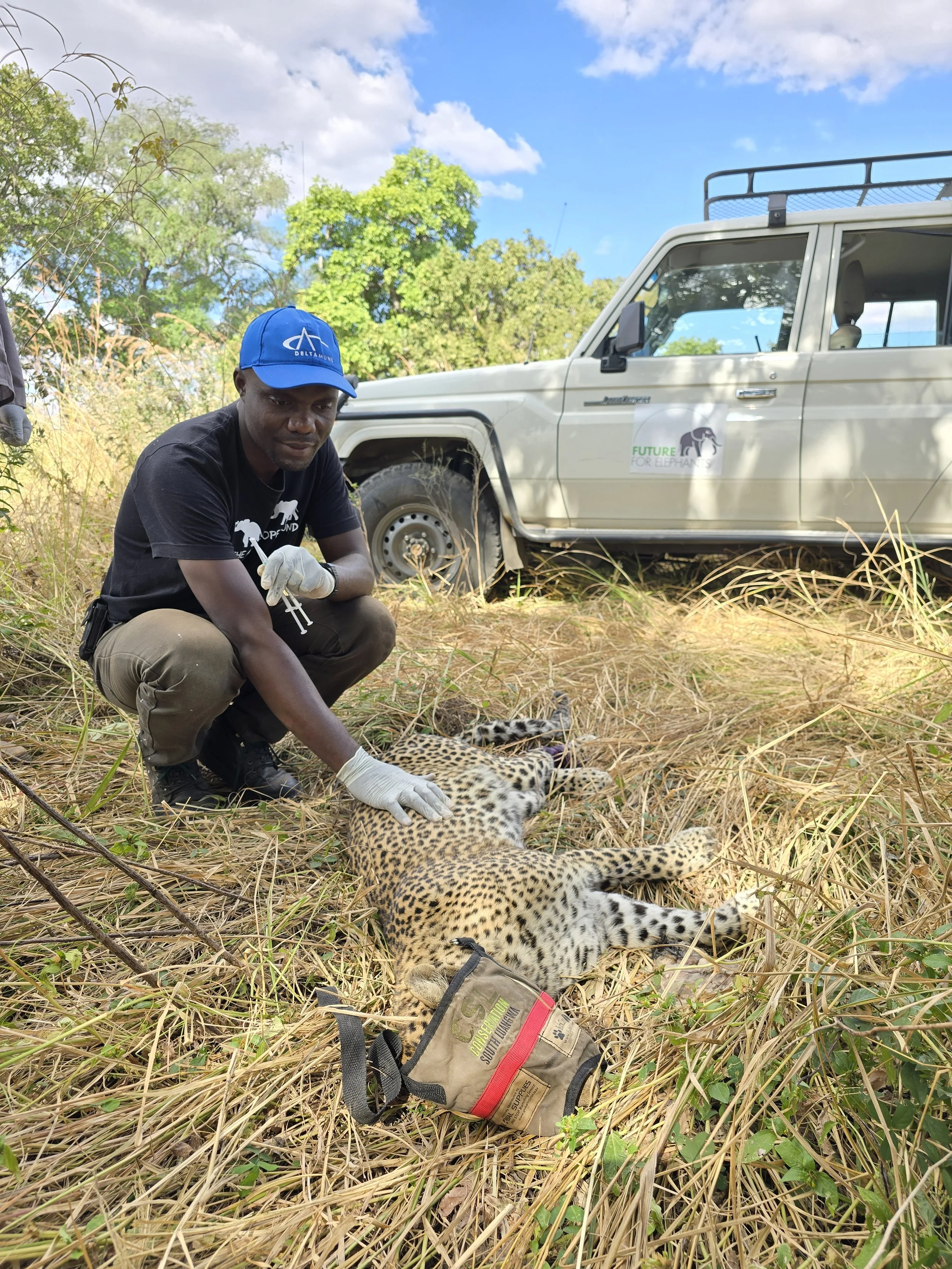 Wildlife rescue — Conservation South Luangwa